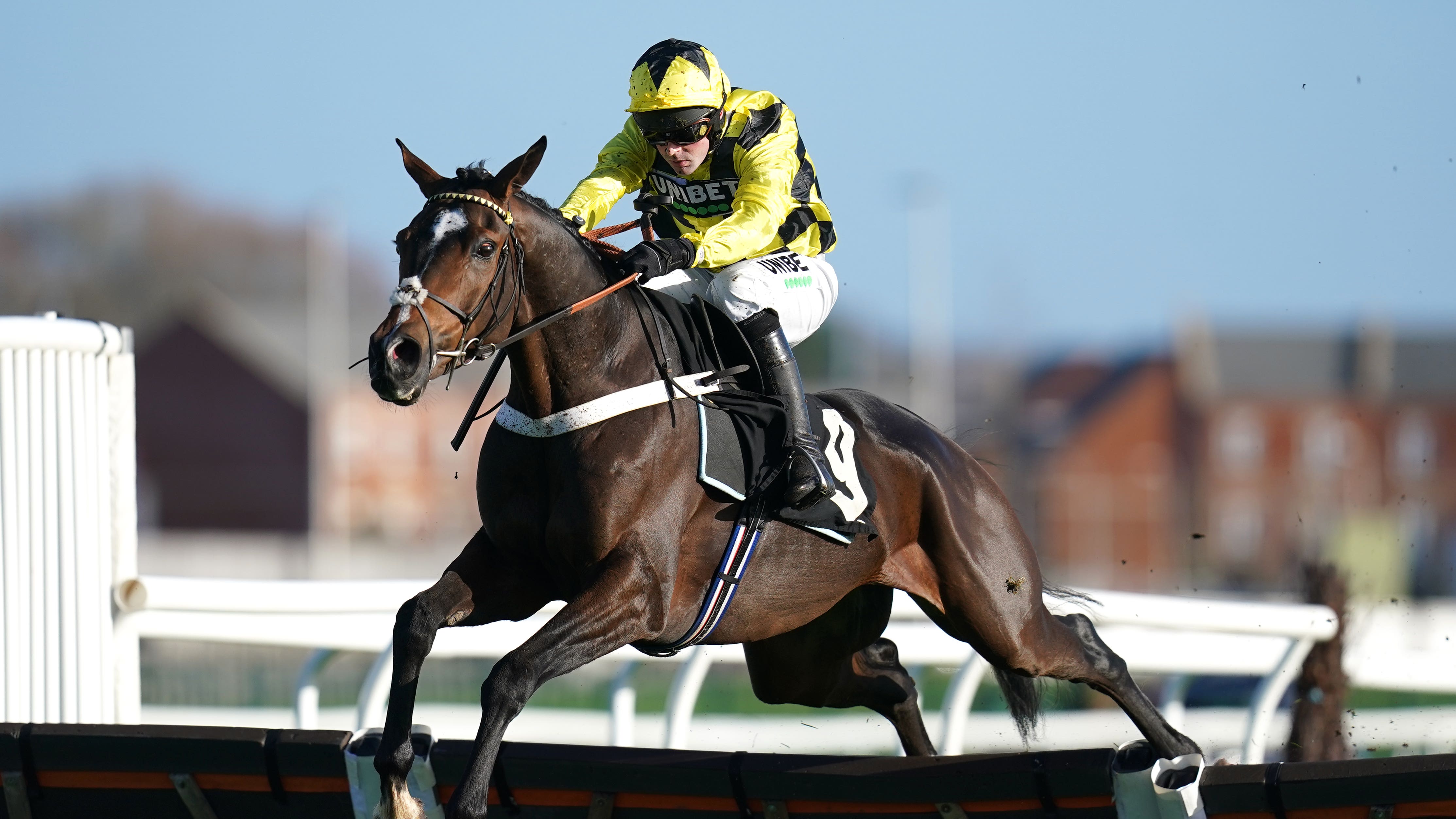 Jet Powered up for latest test of big-race credentials at Newbury