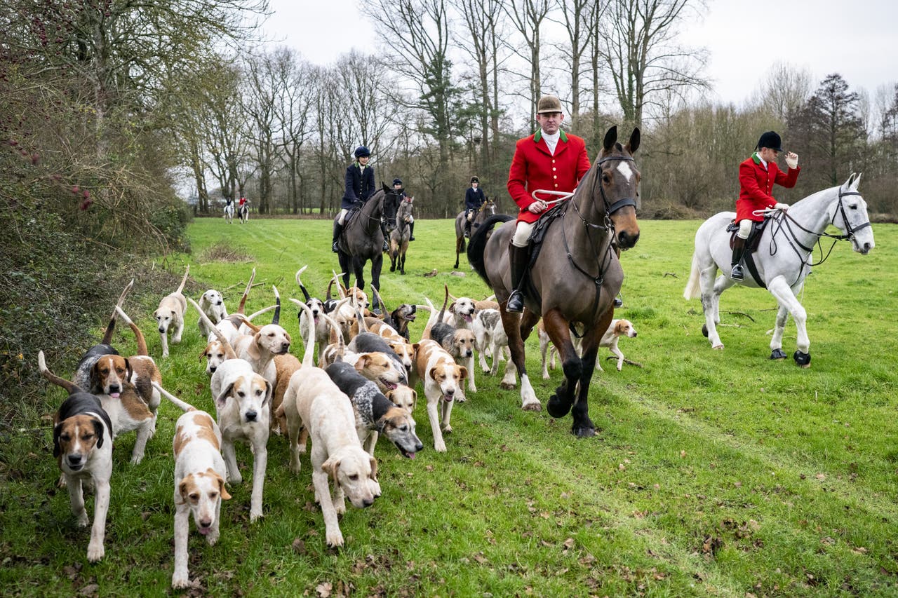 Boxing Day hunts vow to ‘fight’ trail ban as Starmer warned over rural ...