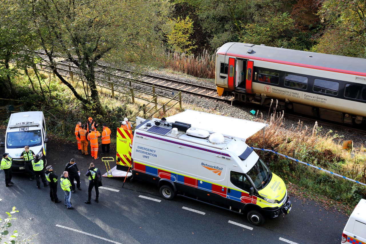 Train crash could have been avoided if driver had used emergency system ...
