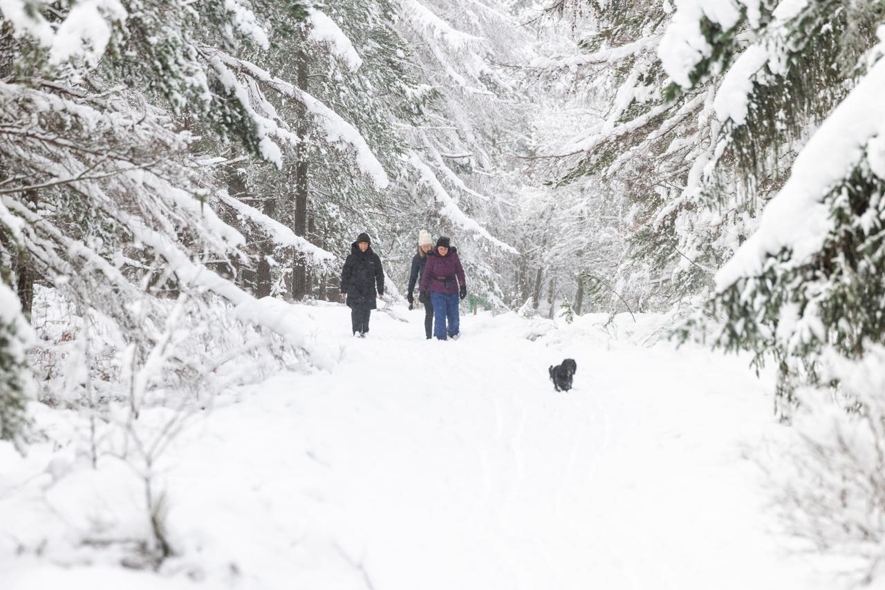 Resilience room meeting held in Scotland amid ‘multi-hazard’ weekend of ...
