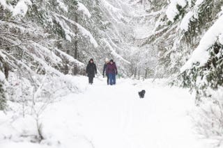 Scotland faces travel disruption as weather warnings stay in place ...