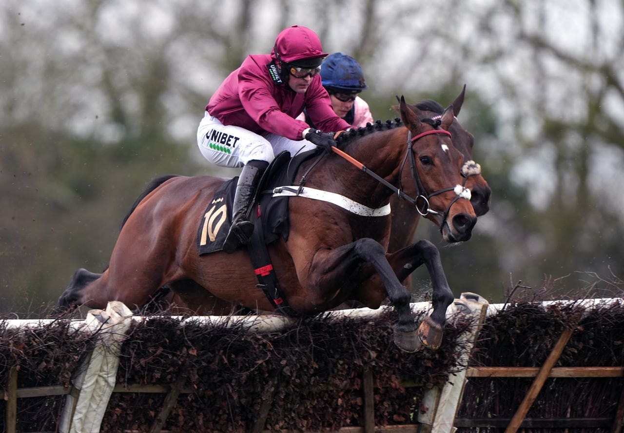 Lulamba enters Adonis equation | Isle of Wight County Press