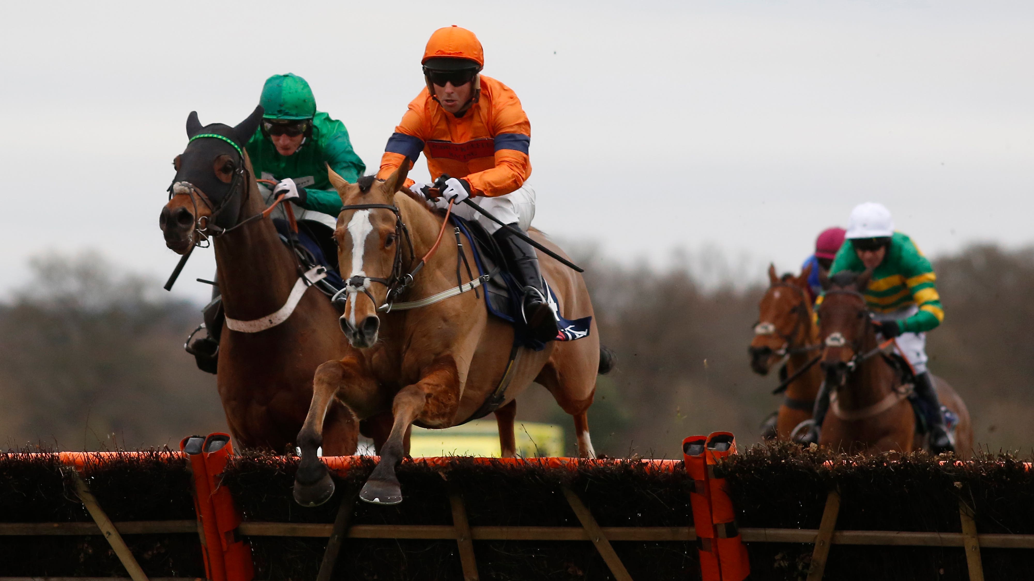 Newbury preview: Sam Spinner returns to fray in Long Distance Hurdle