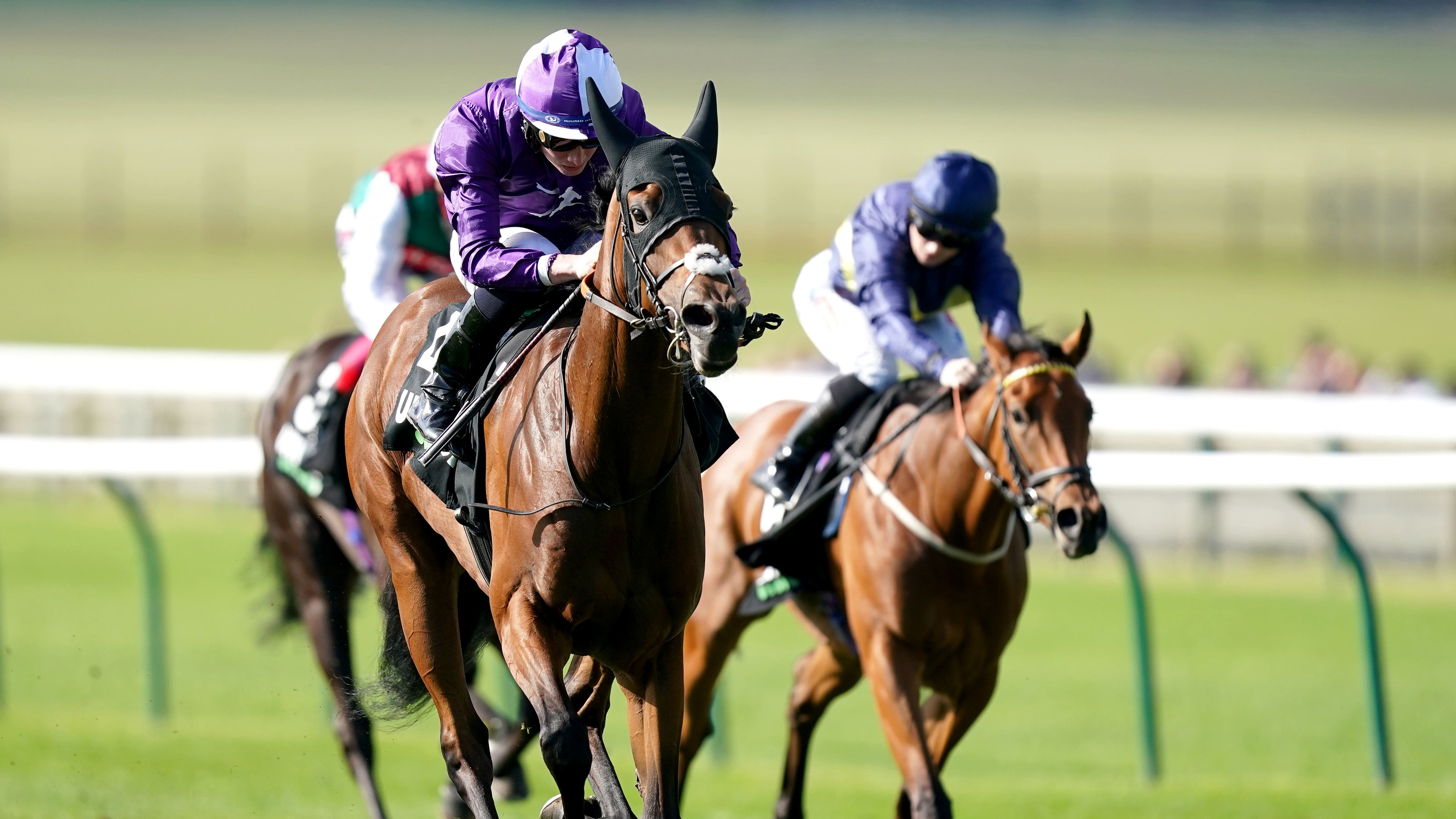 2 25 Newbury Jumbly Has Strong Claims In Fred Darling 2 25 Newbury Jumbly Has Strong Claims In Fred Darling
