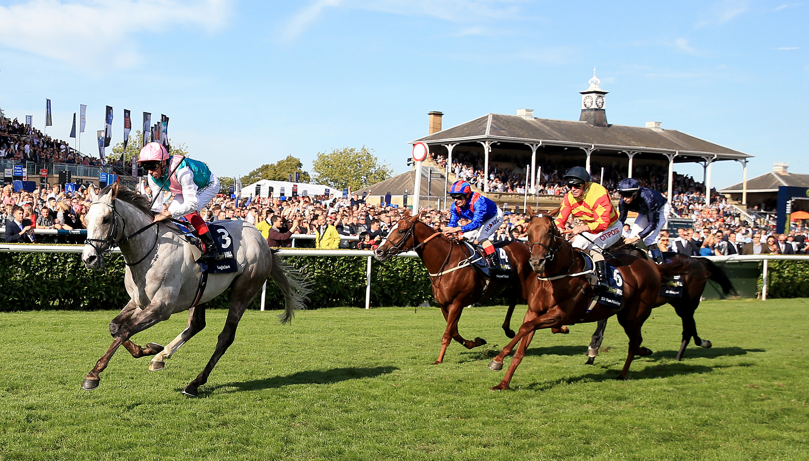 Logician and the Magician lead the way on Saturday to savour