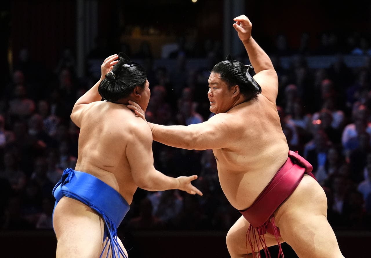 Sumo wrestling returns to London at a sold out Royal Albert Hall ...