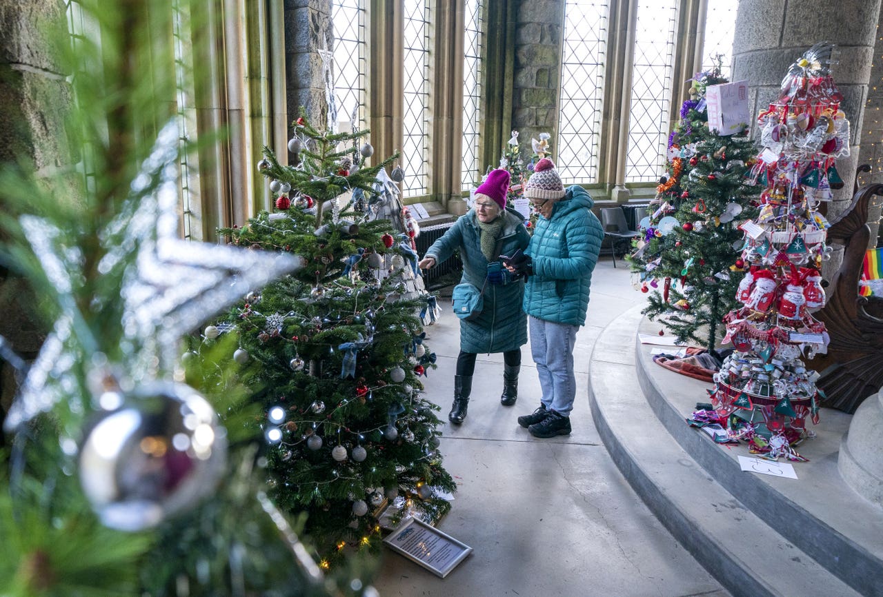 In Pictures: Trimming the trees – all 63 - at Scottish Christmas Tree ...
