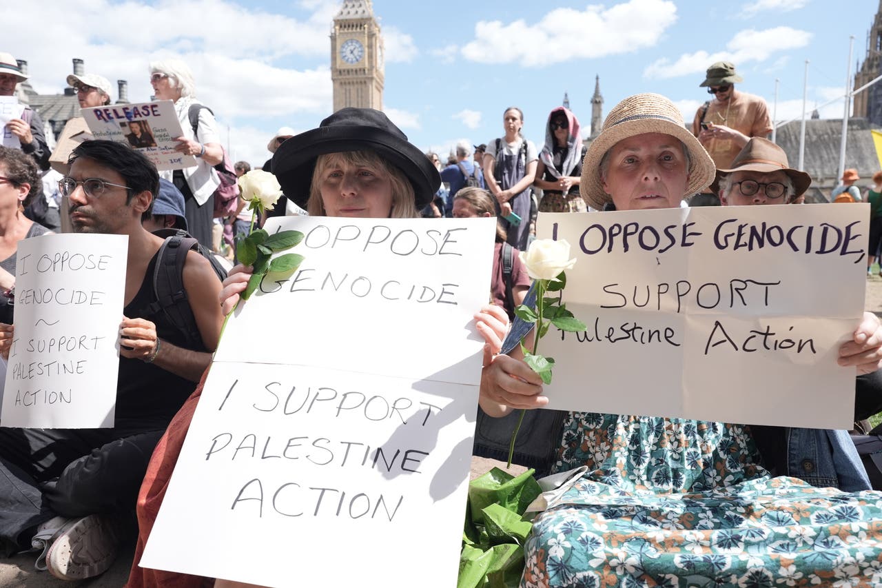 Palestine Action ban descends into further farce as 466 arrested ...