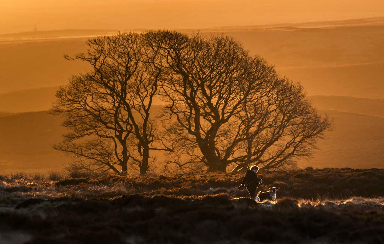 Snow expected across much of UK with new warnings issued | Lowestoft ...