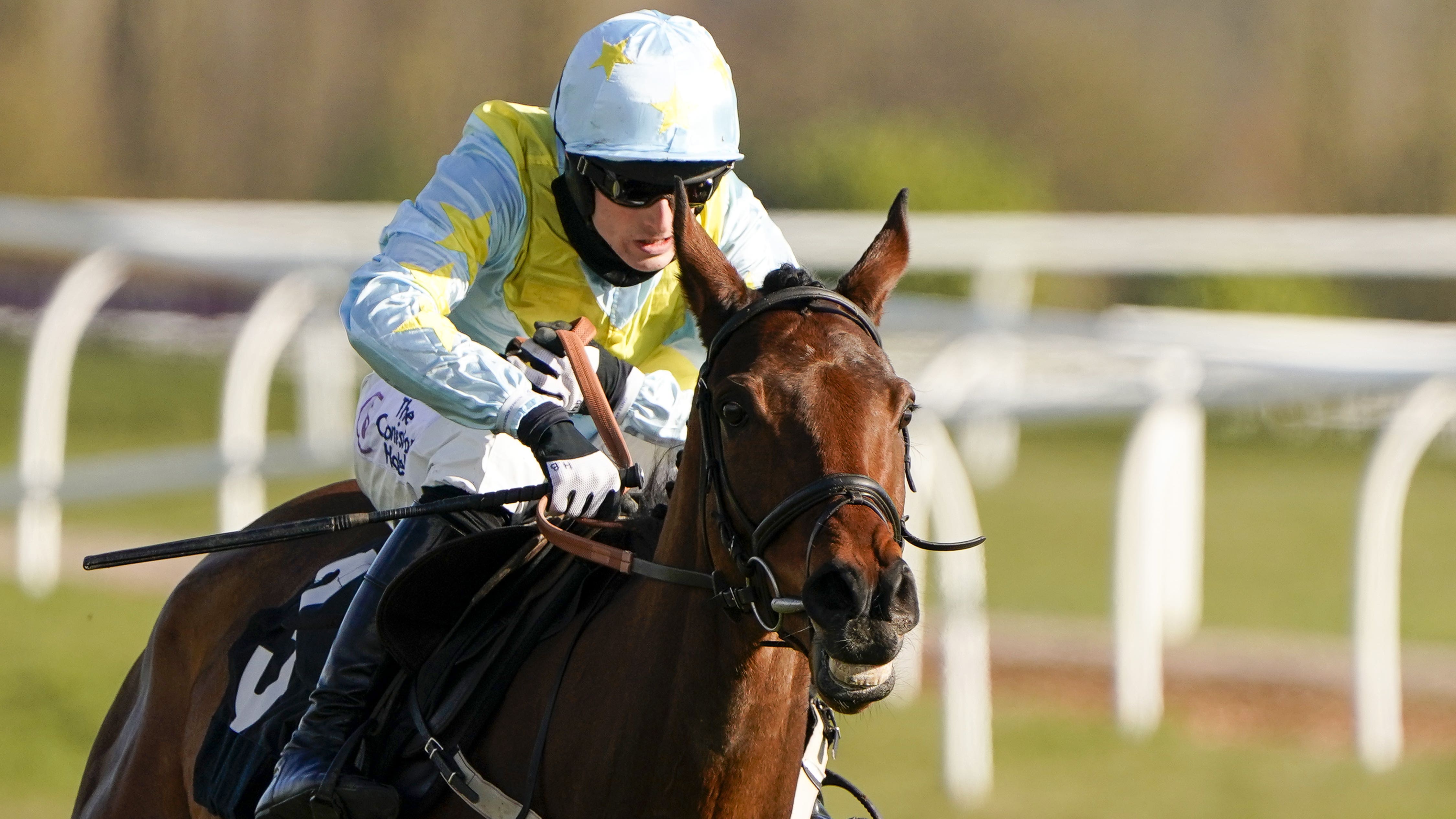 Alex Hales considers options for exciting chaser Millers Bank