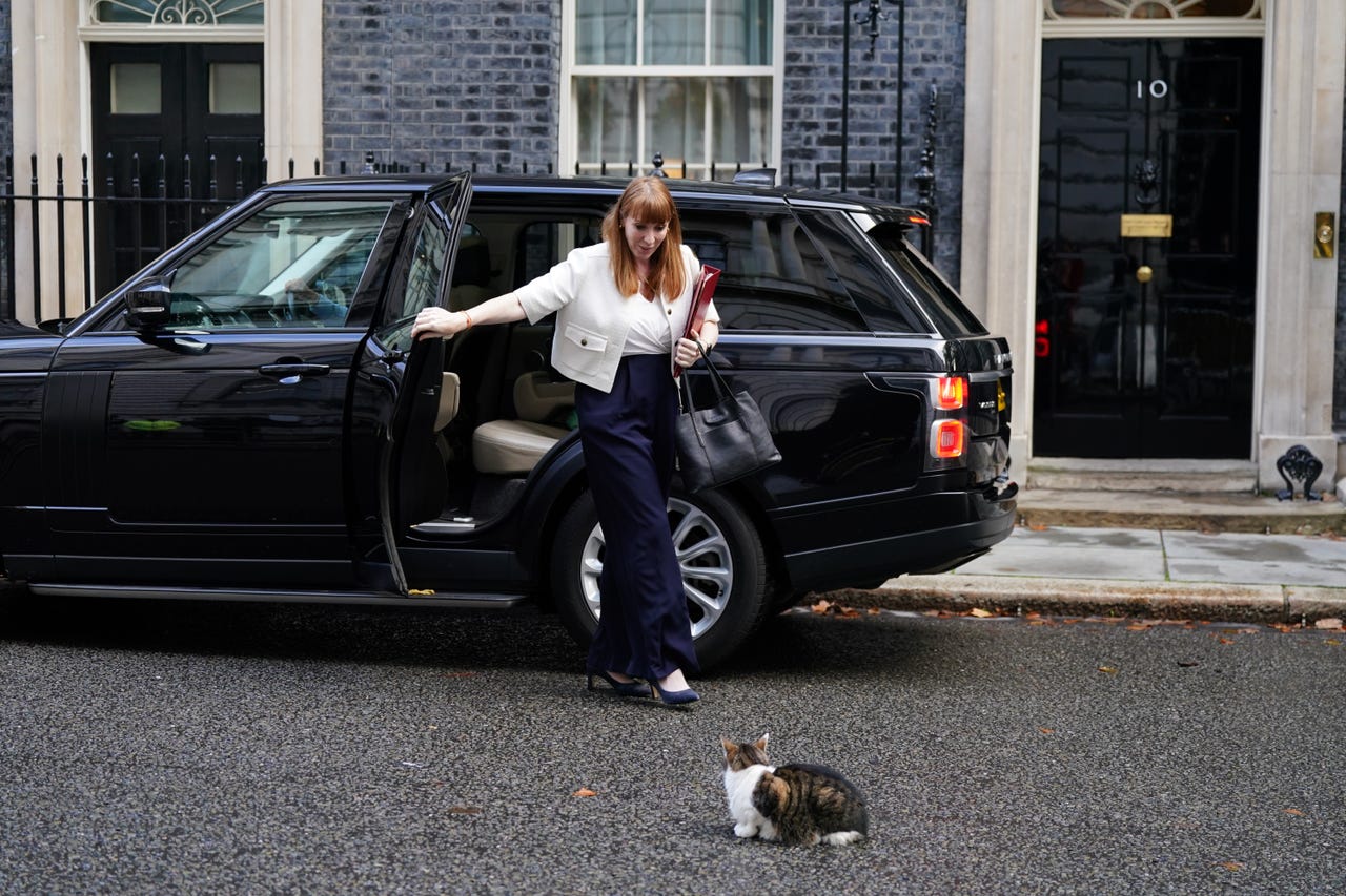 Larry the cat marks 15 years as No 10’s chief mouser | North Norfolk News