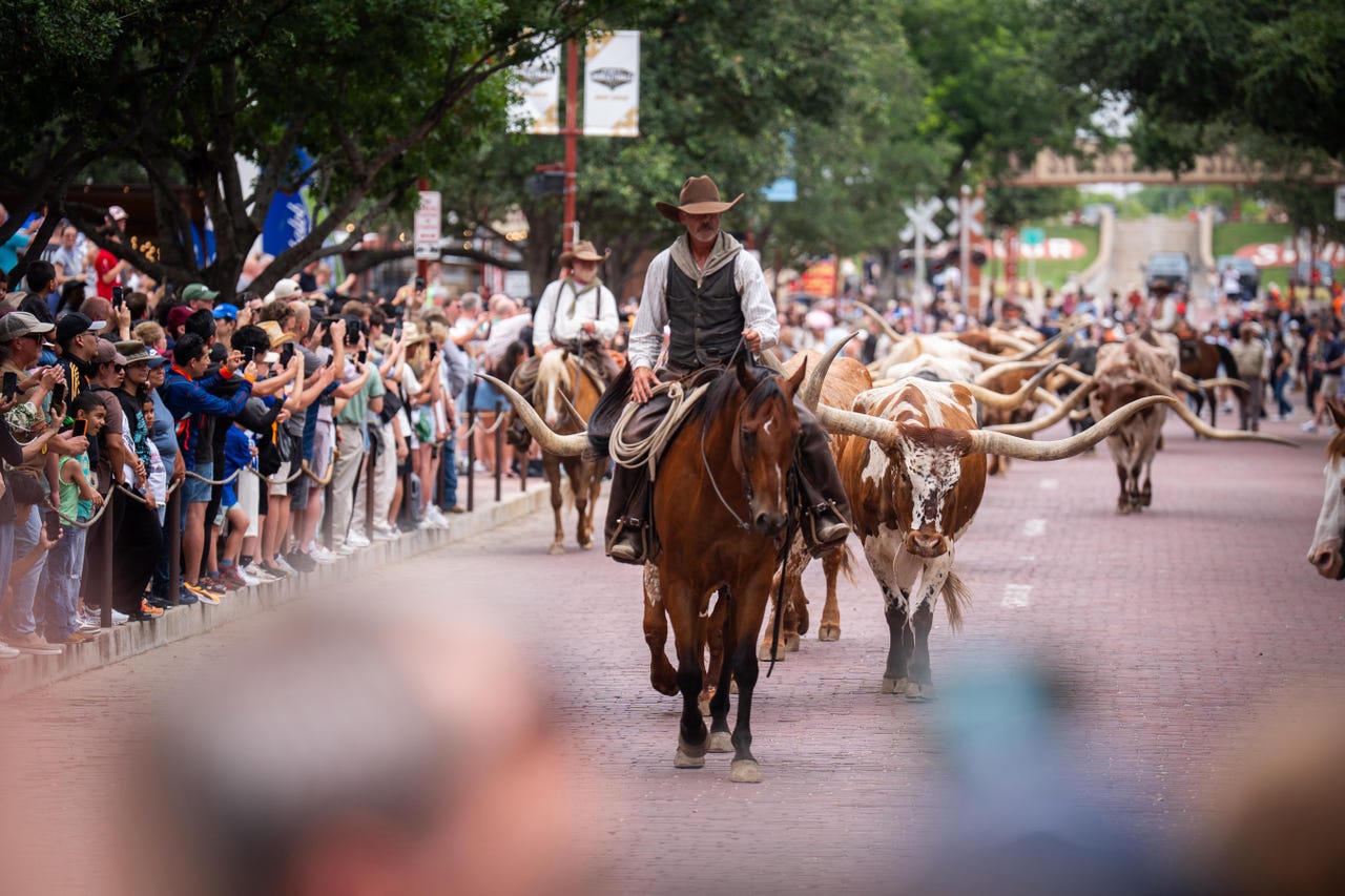 England fans embracing Texas culture as Three Lions prepare for World ...