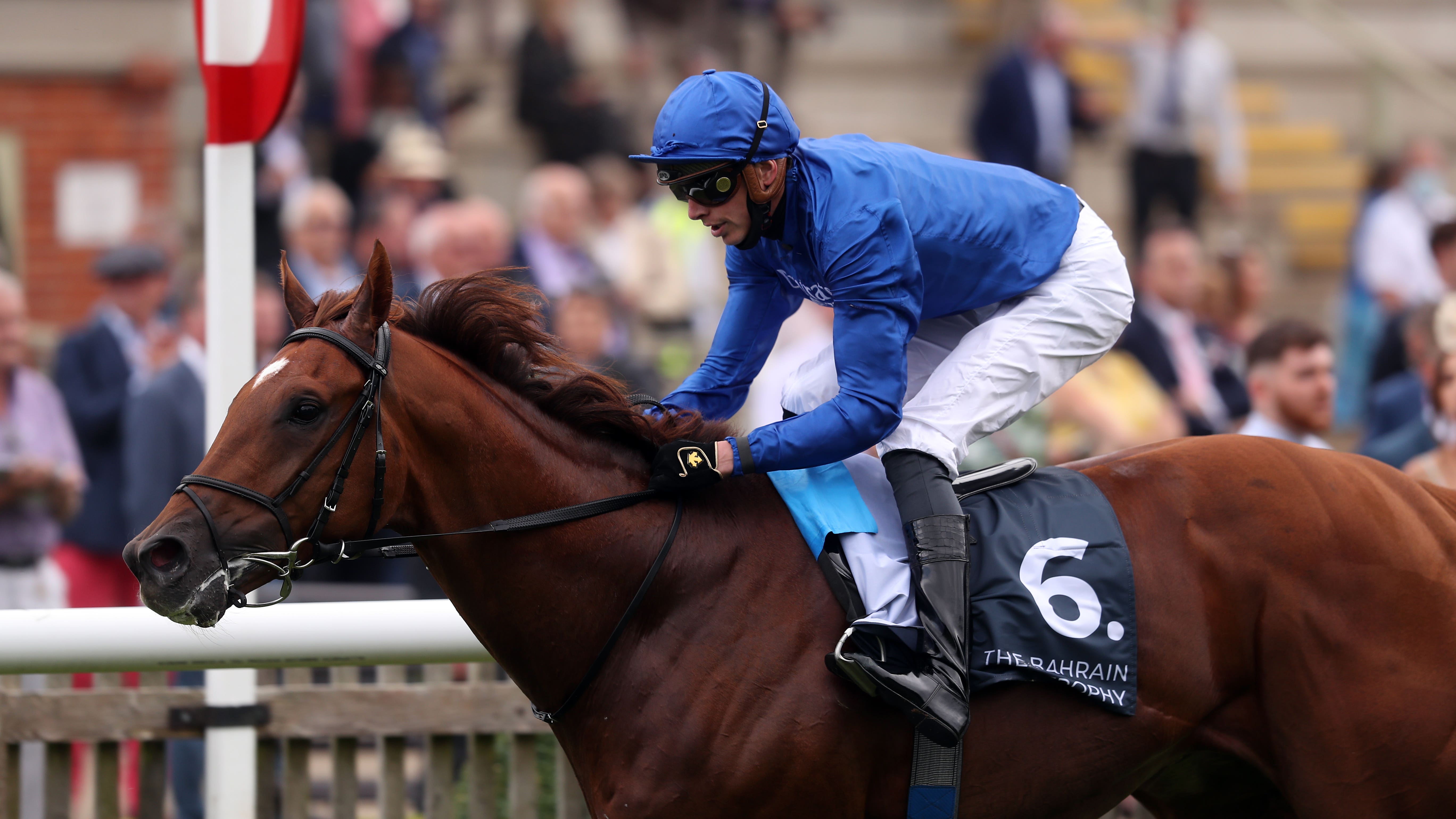 July Festival: Yibir out to get back to winning ways