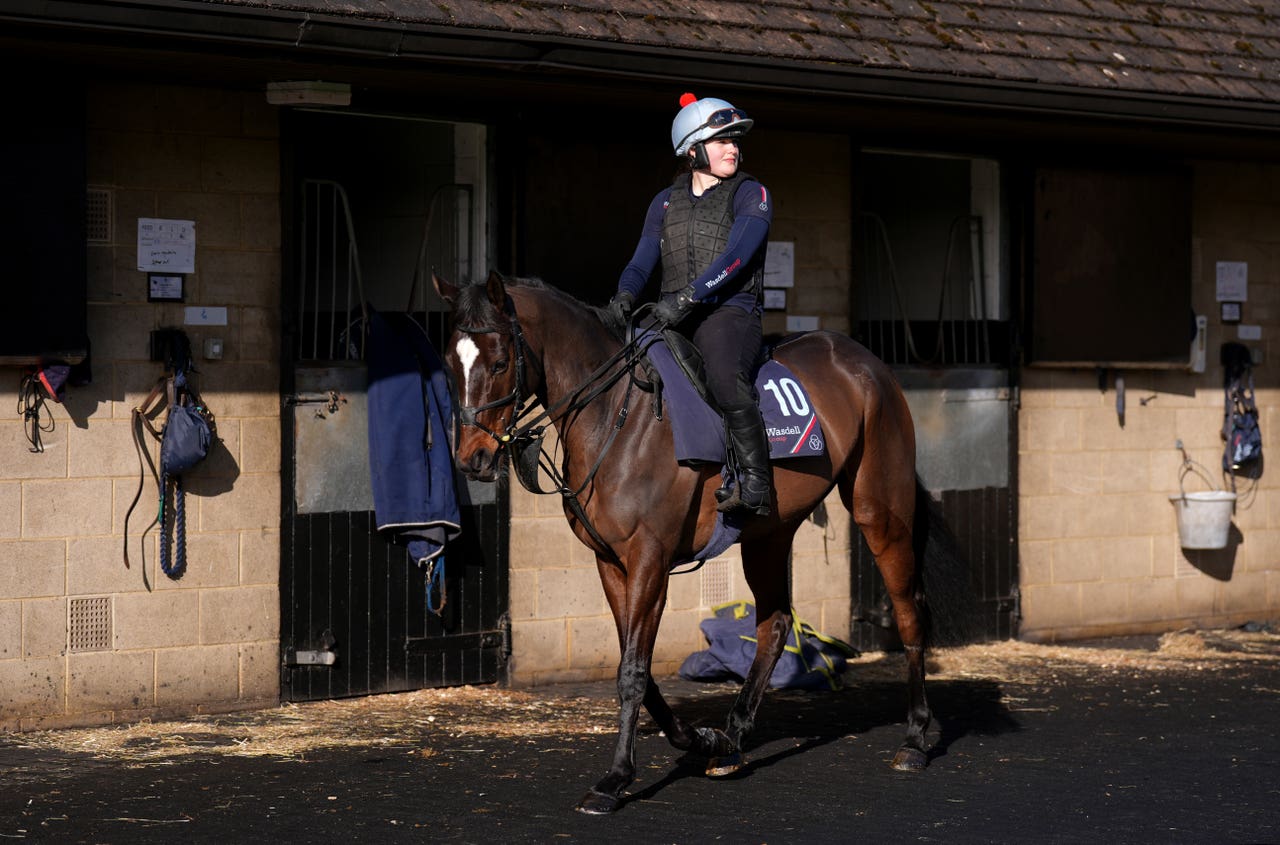 Chasing Festival glory now a true family affair for O’Neills | Oxford Mail