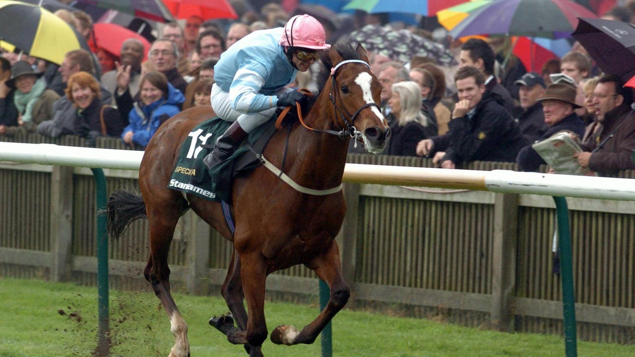 Guineas heroine Speciosa has special place in Pam Sly’s affections