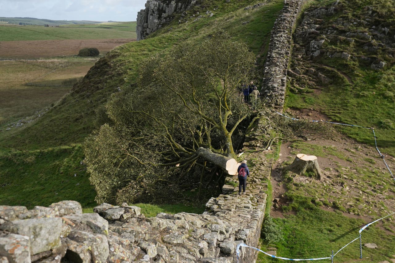 Two men who cut down Sycamore Gap tree jailed for more than four years ...
