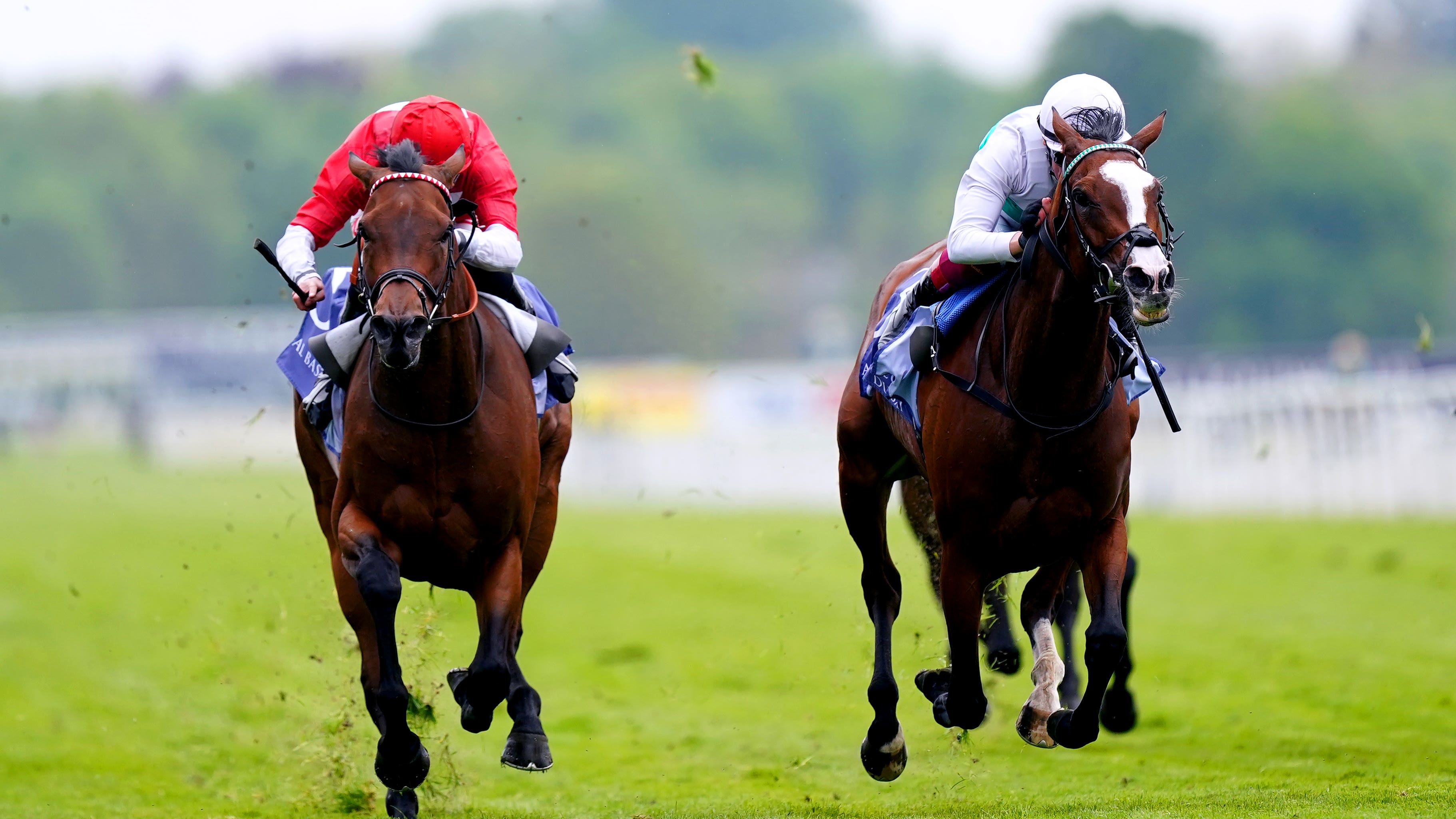 Free Wind survives stewards' inquiry to win Middleton