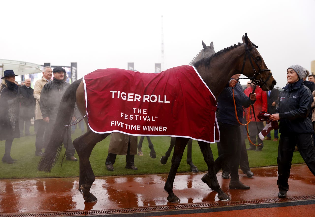 Rule The World helped put Gigginstown on a (Tiger) Roll | Ham & High