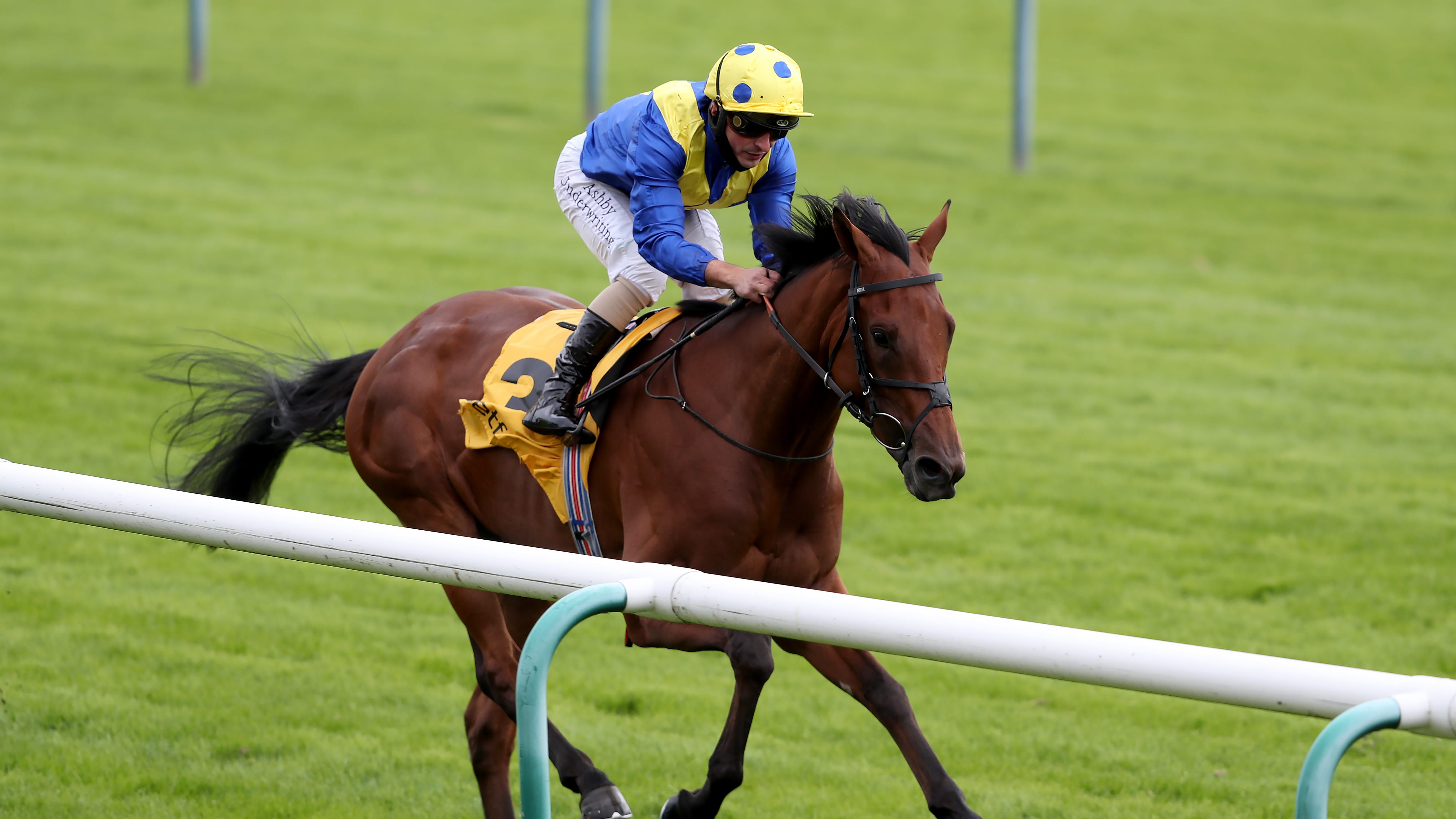 Cesarewitch: Favourite Moon set for Newmarket return