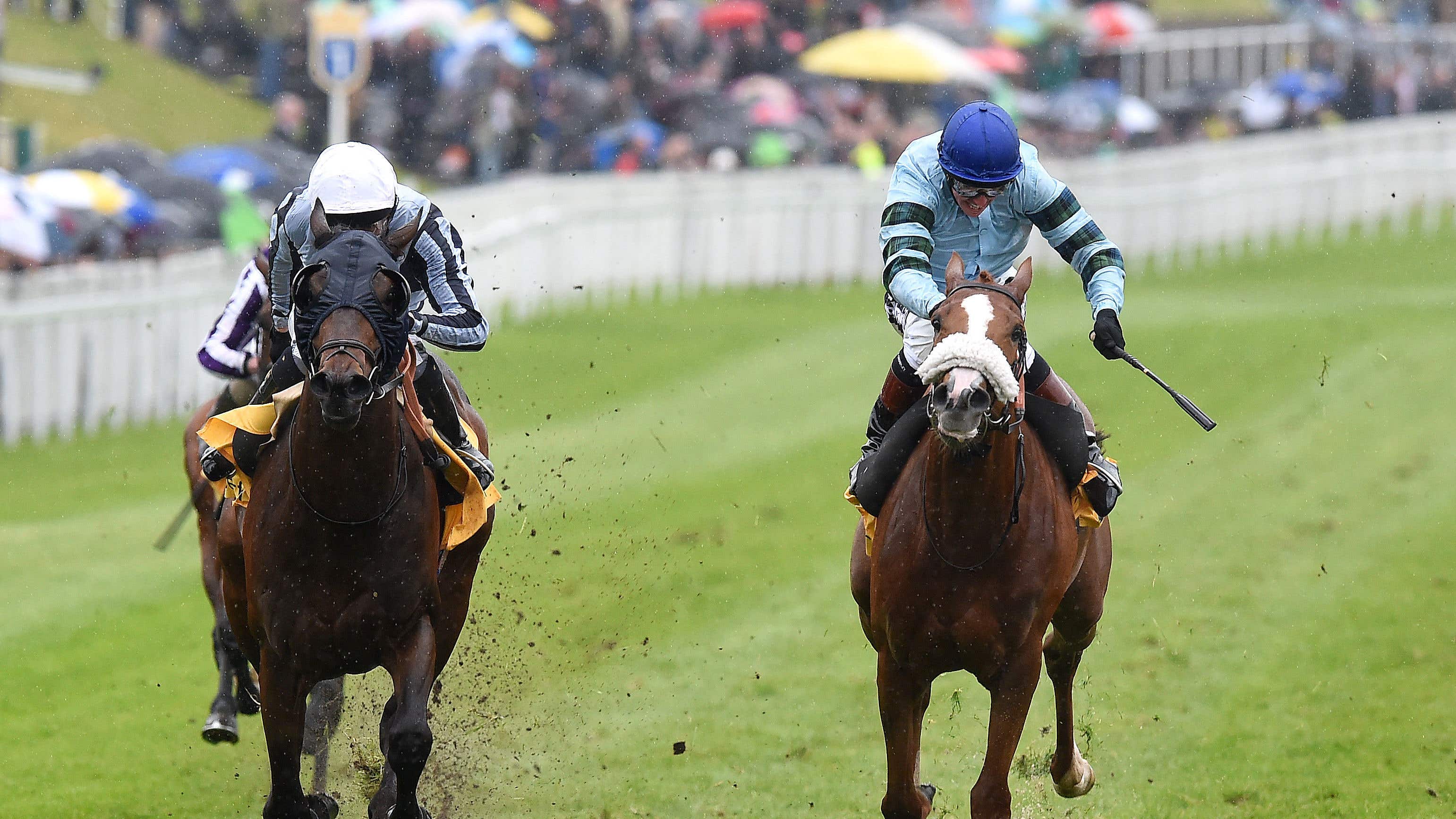 Chester Cup preview: Get the inside track from connections