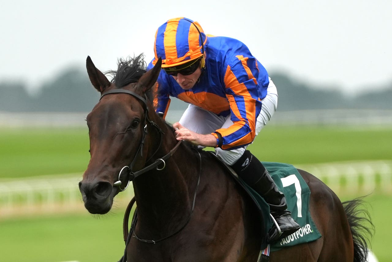 Cercene taking distance test in Nassau Stakes | East Anglian Daily Times