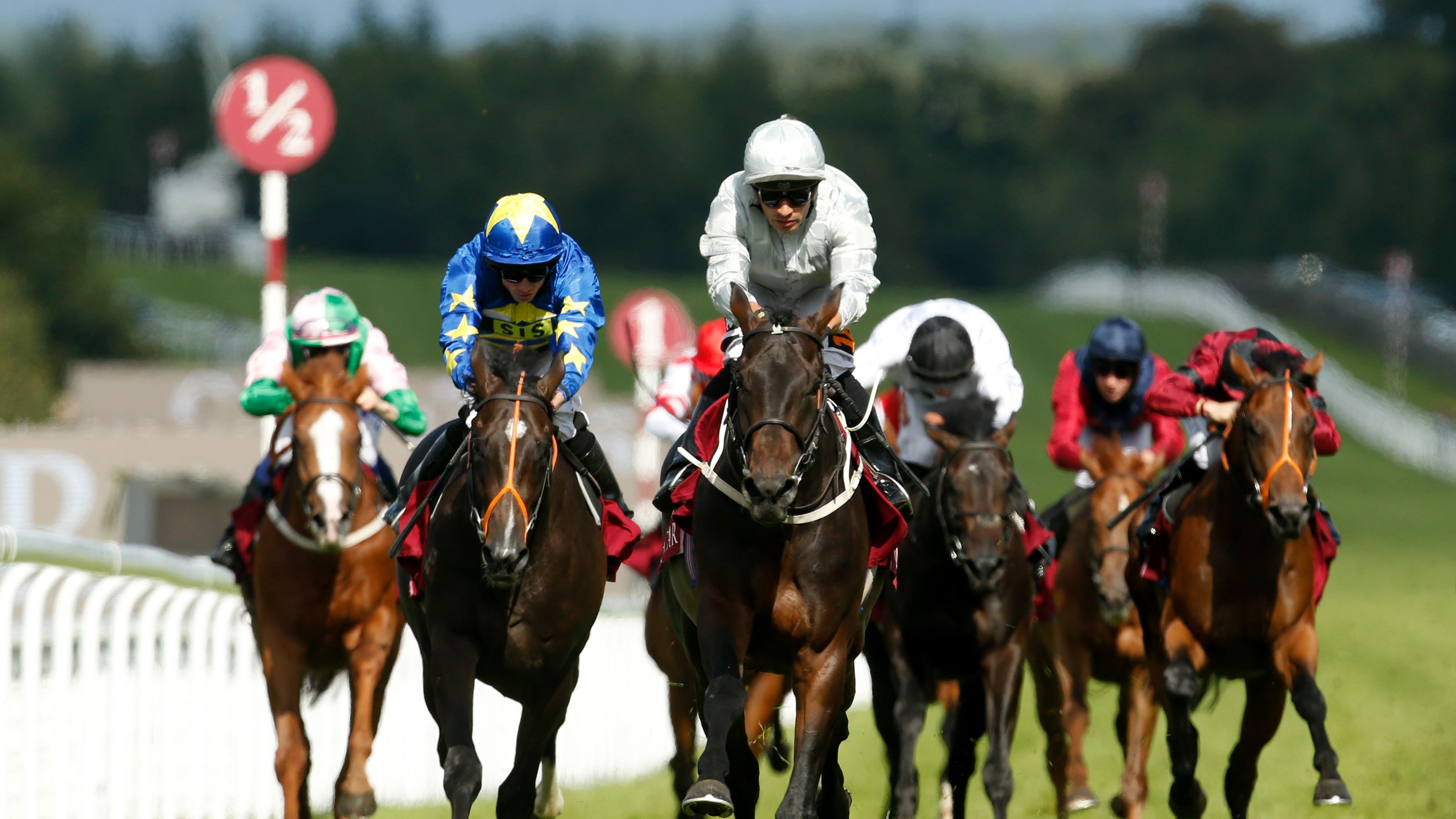 Dee Ex Bee gets back to winning ways in Sagaro Stakes