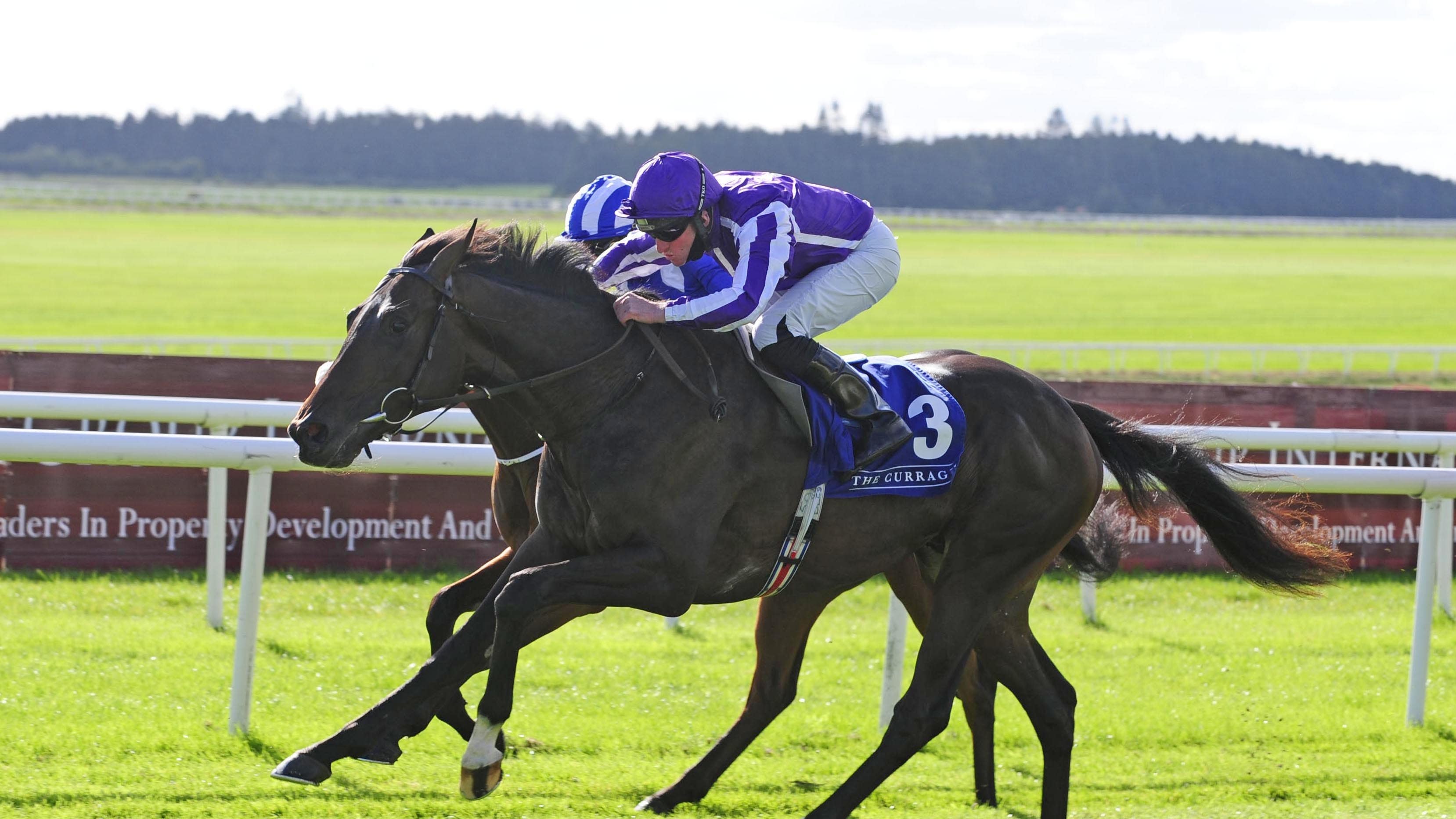 Derby favourite High Definition pencilled in to return at Lingfield