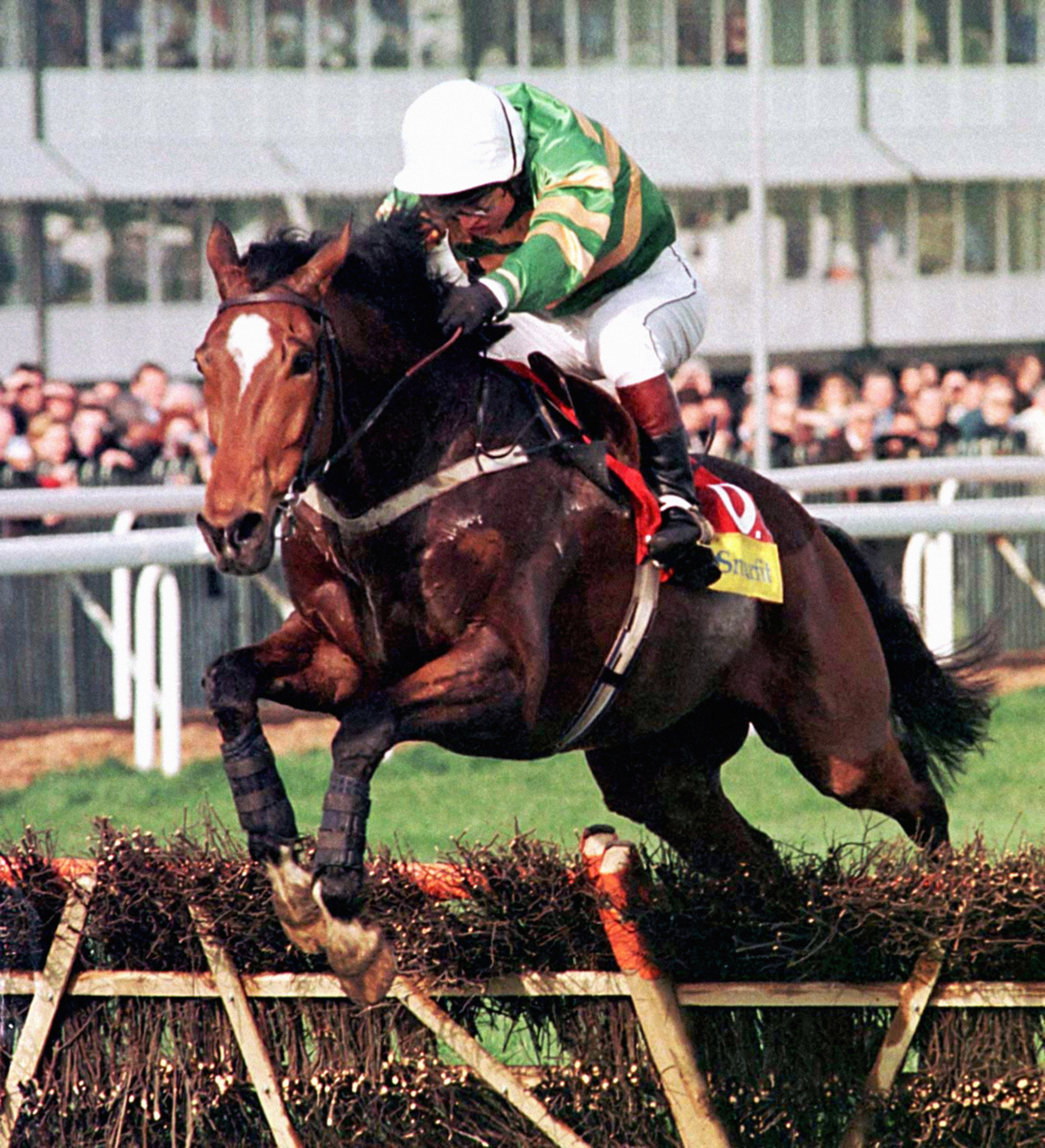 From Hatton’s Grace to Istabraq: 5 triple winners of the Champion Hurdle