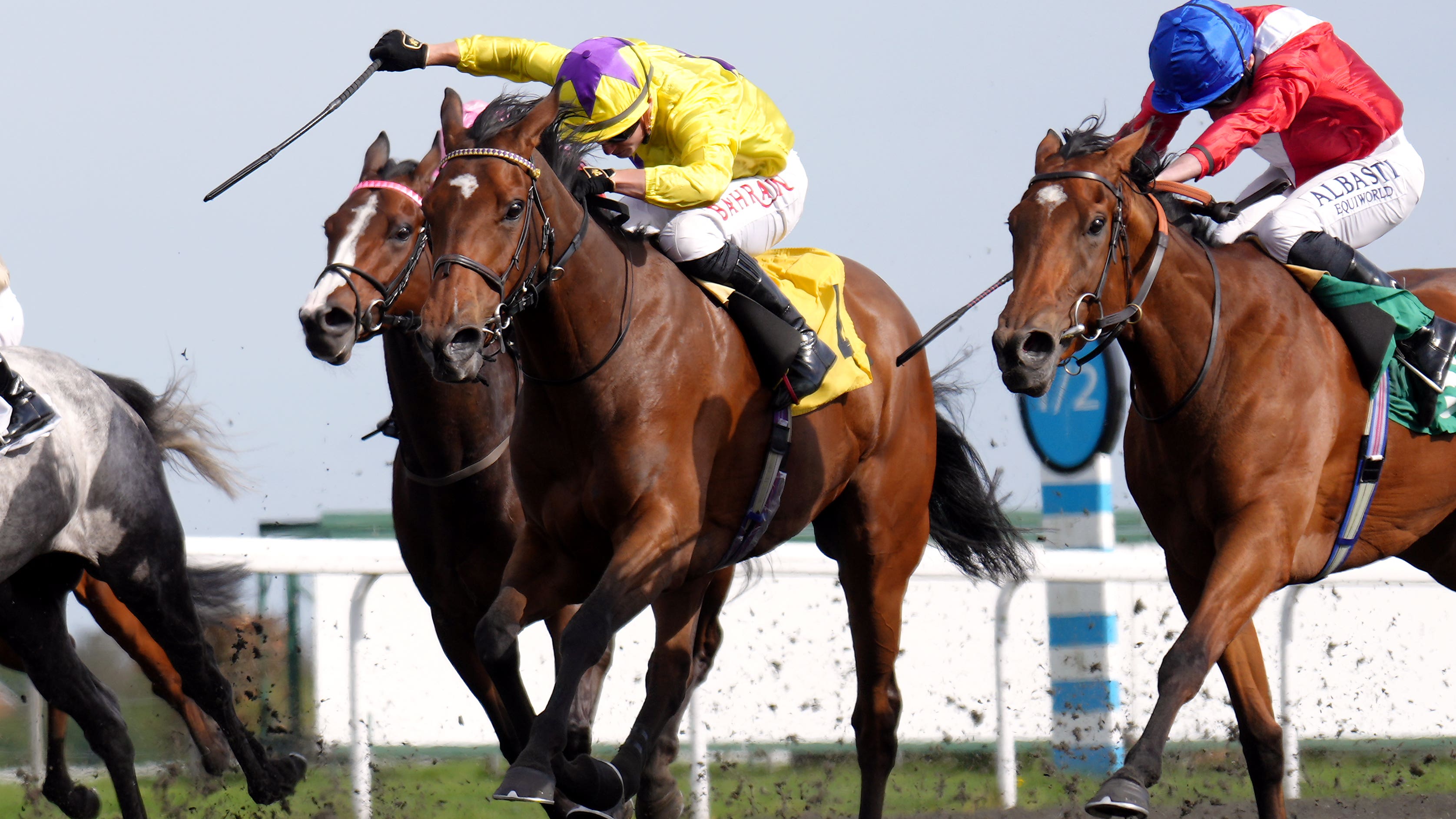 Ayr preview: My Astra hunting Listed honours for Haggas team