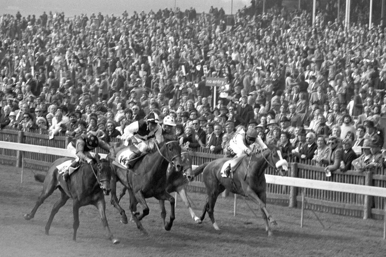Mill Reef leads the way among Balding’s star performers | East London ...