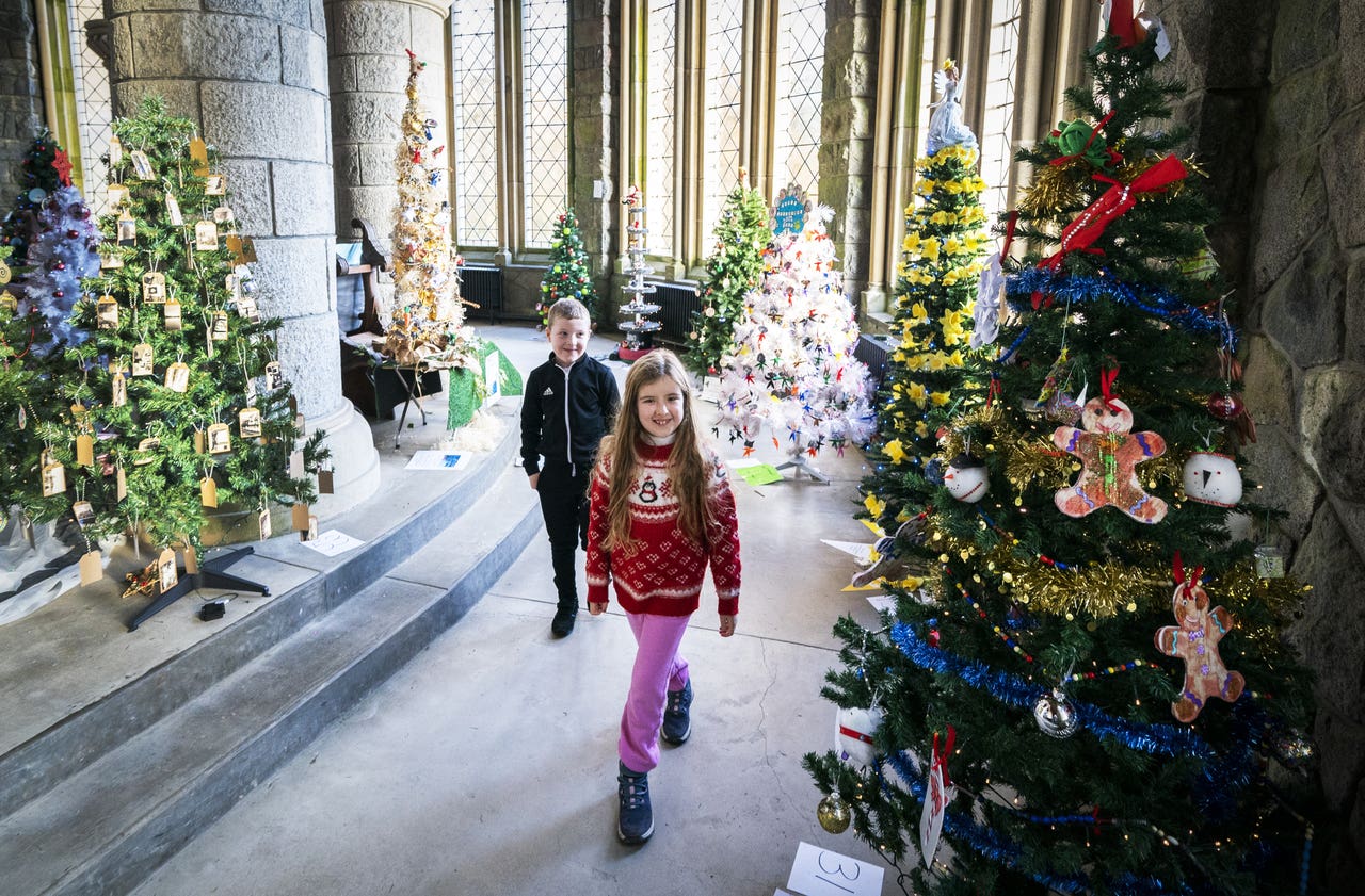 In Pictures: Trimming the trees – all 63 - at Scottish Christmas Tree ...