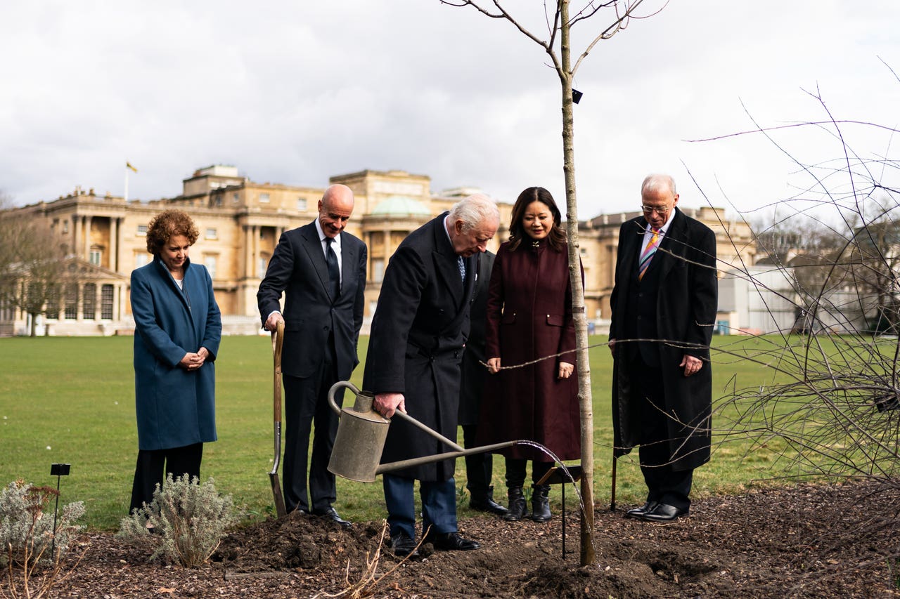 King plants tree near Palace lake to celebrate Commonwealth forest ...