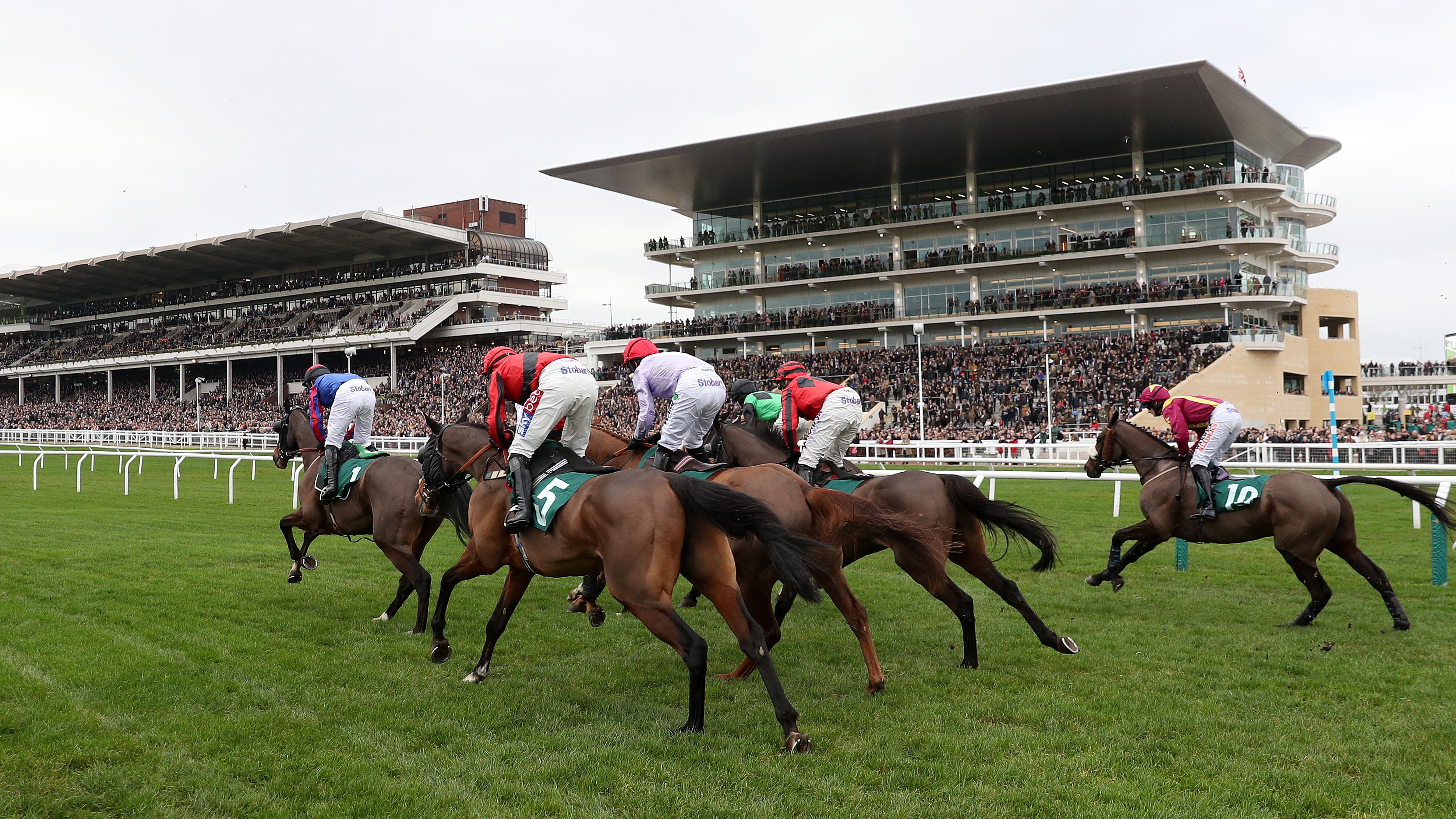Andy Stewart and Terry Warner sing praises of Cheltenham