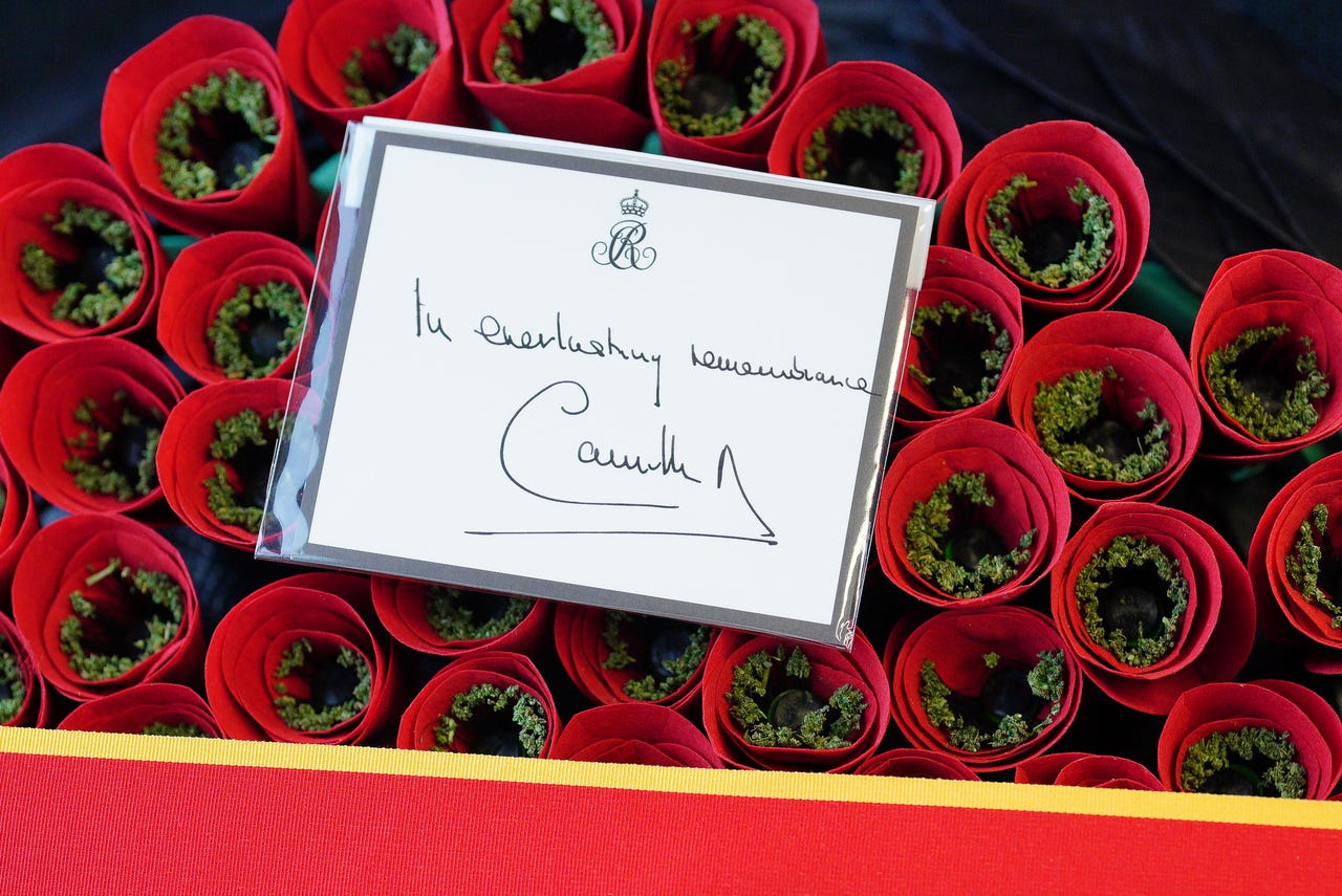 Kate lays Armistice Day wreath for first time as nation pays silent ...
