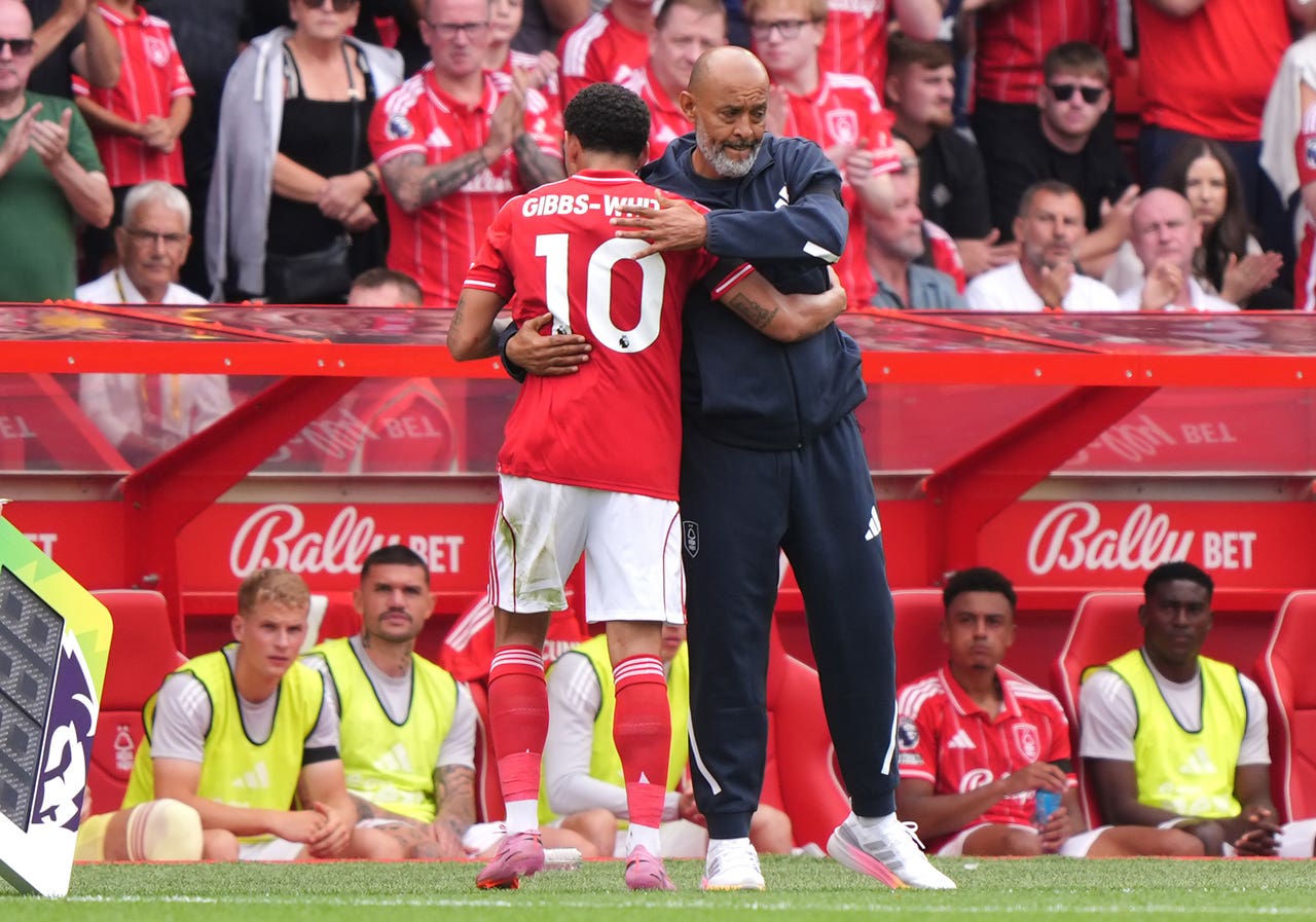 Forest boss Nuno Espirito Santo expected to remain in charge for match ...