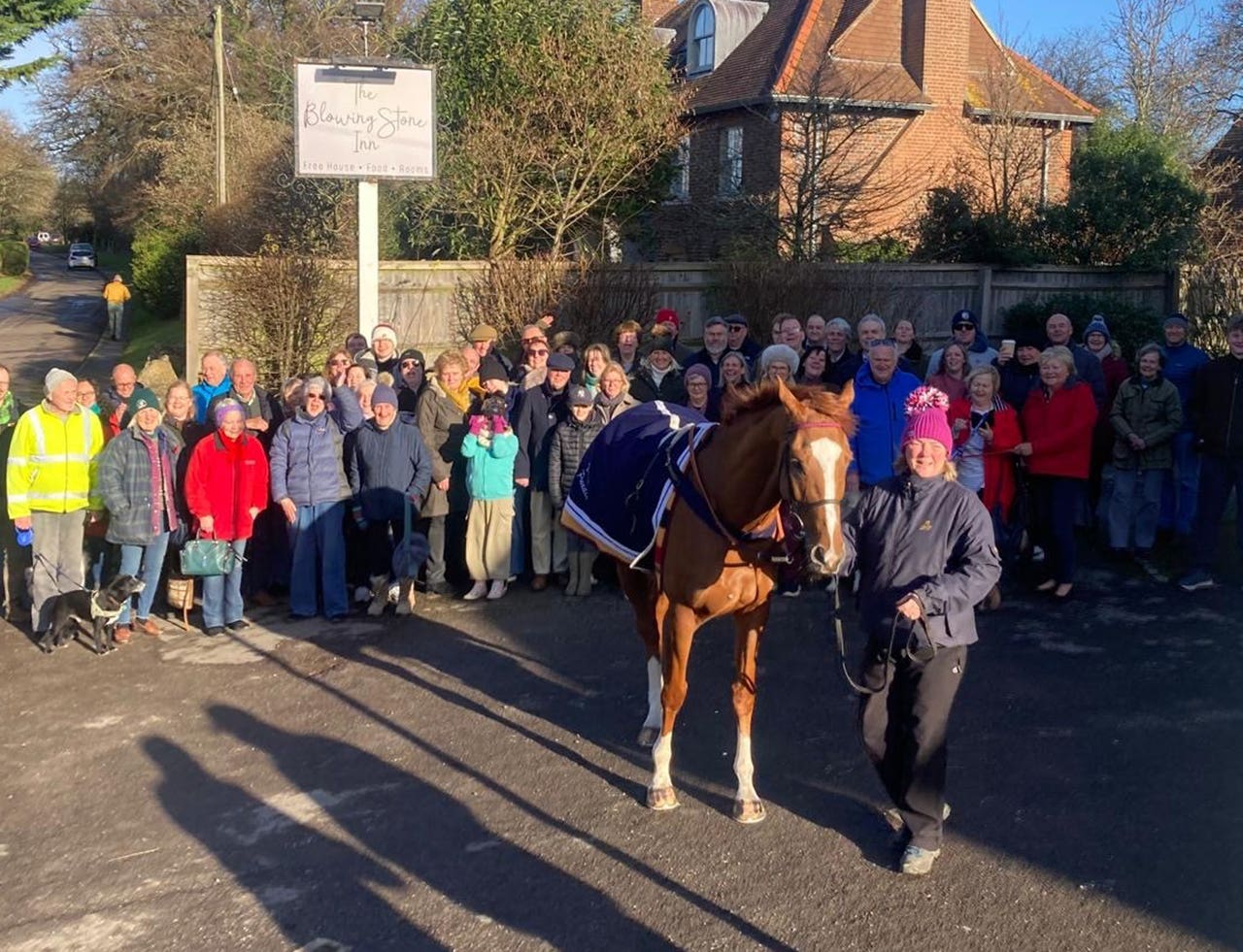 Royalist racegoers can buy a share in racehorse to support cancer ...