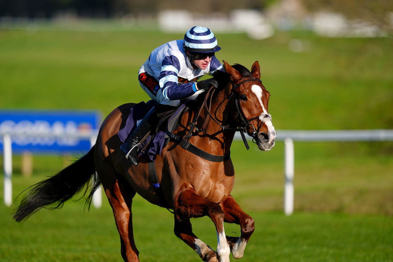Tenter Le Tout provides perfect Finale for Chester Williams | North ...