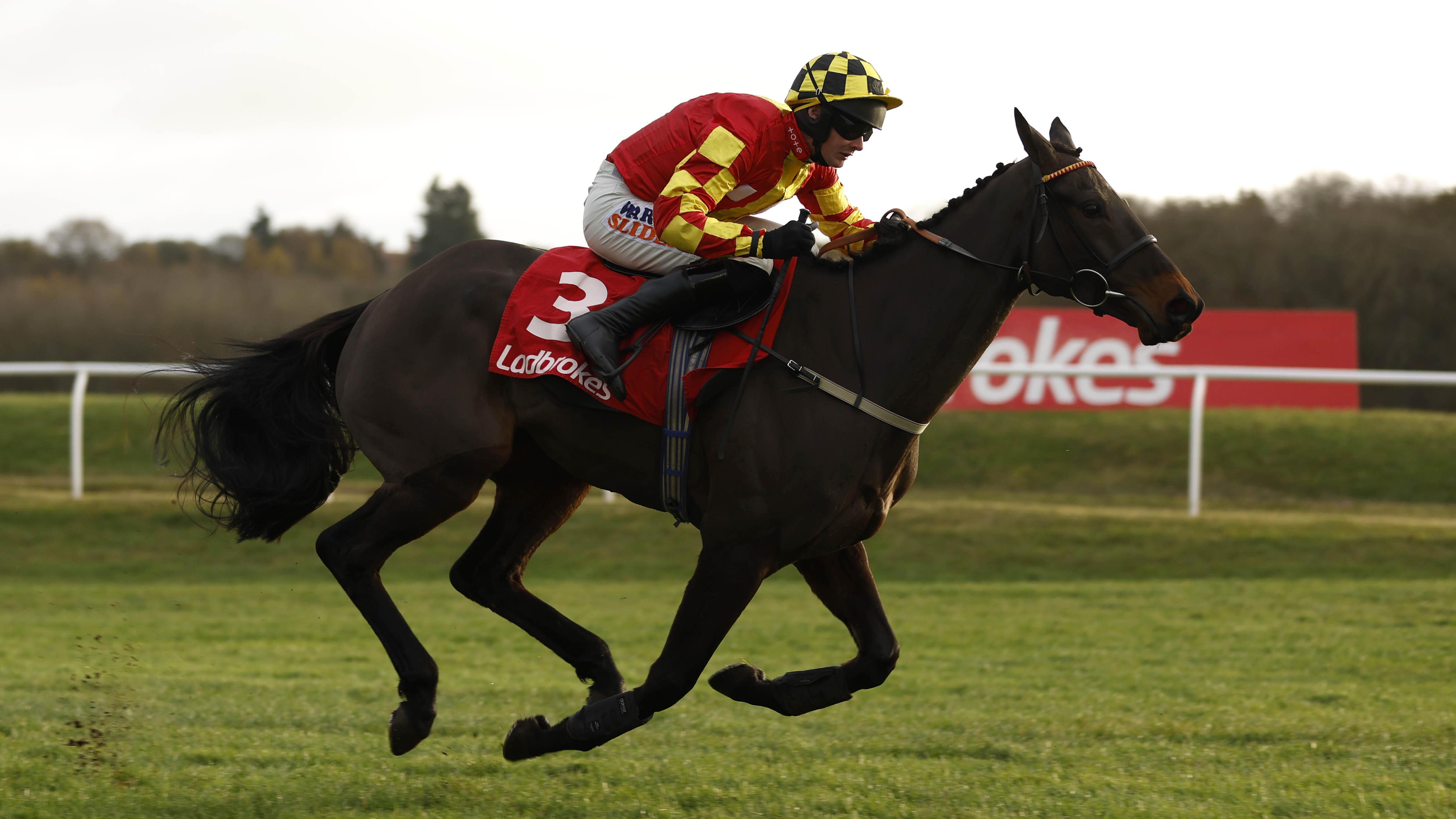 Onemorefortheroad sparks Newbury celebrations for Neil King