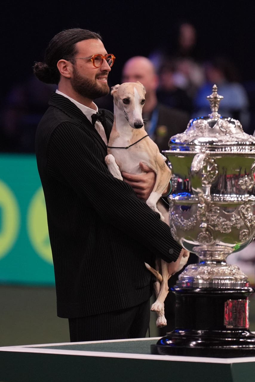 Whippet called Miuccia crowned best in show at Crufts | The Gazette