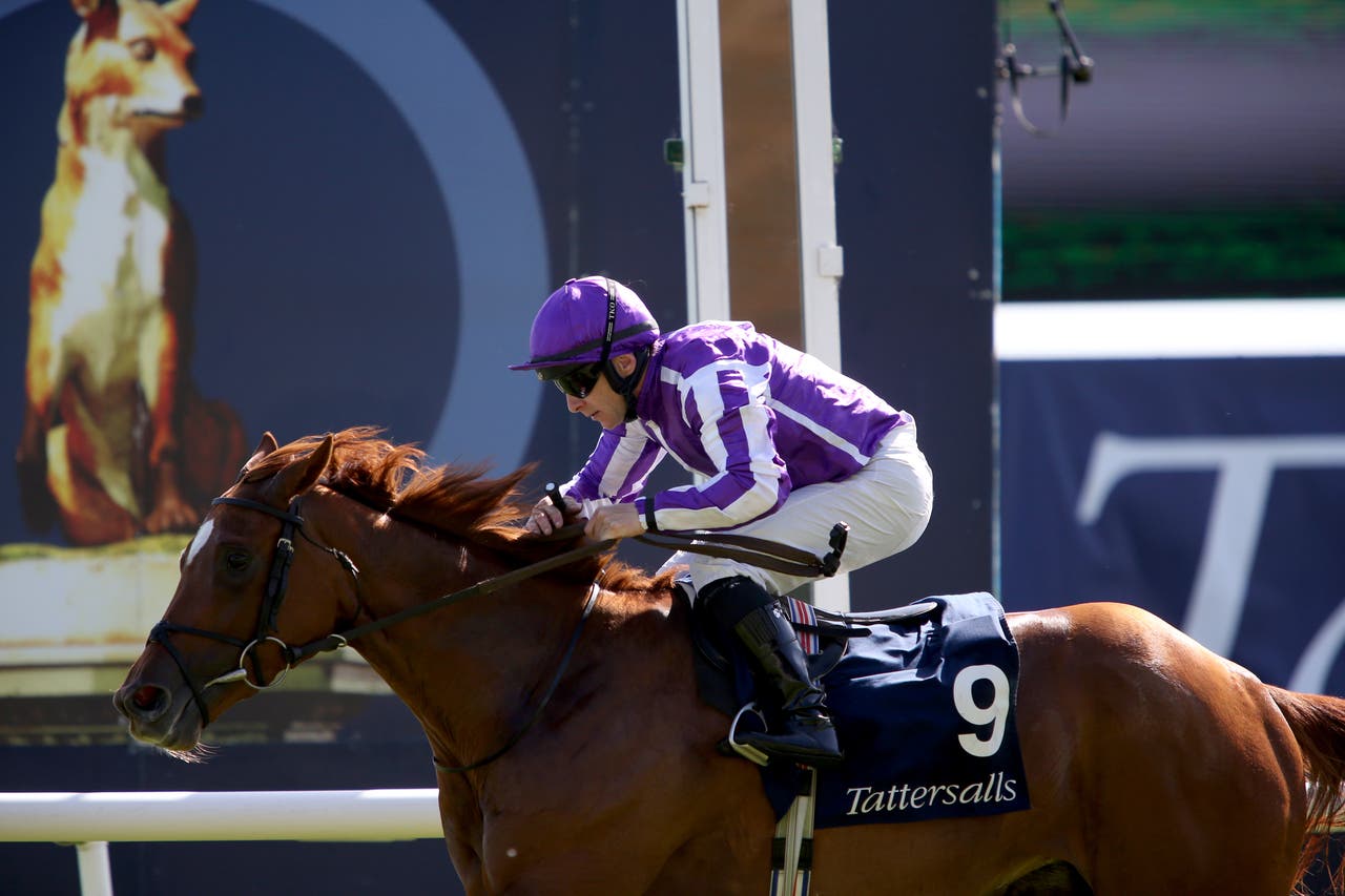 Precise turns the tables to take Irish 1,000 Guineas | Bradford ...