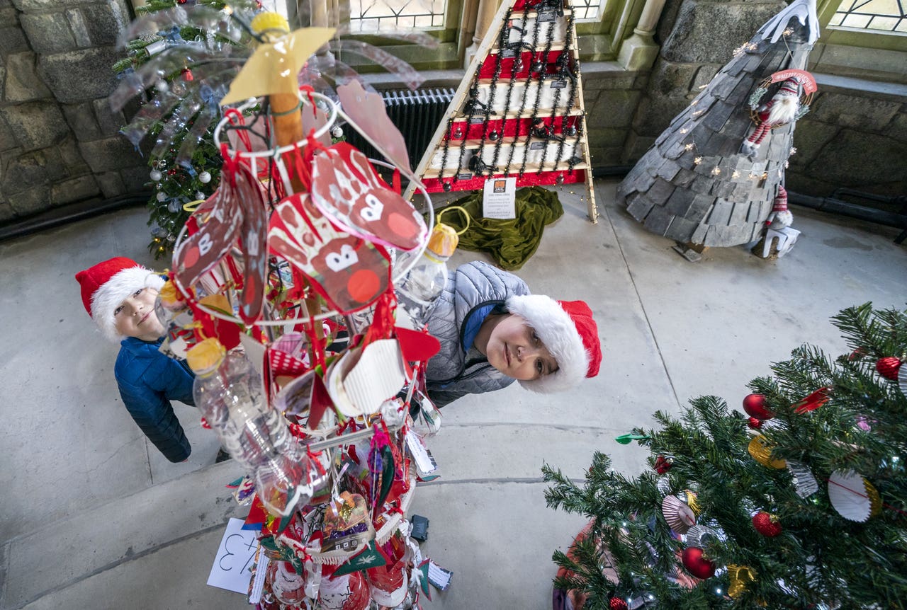 In Pictures: Trimming the trees – all 63 - at Scottish Christmas Tree ...