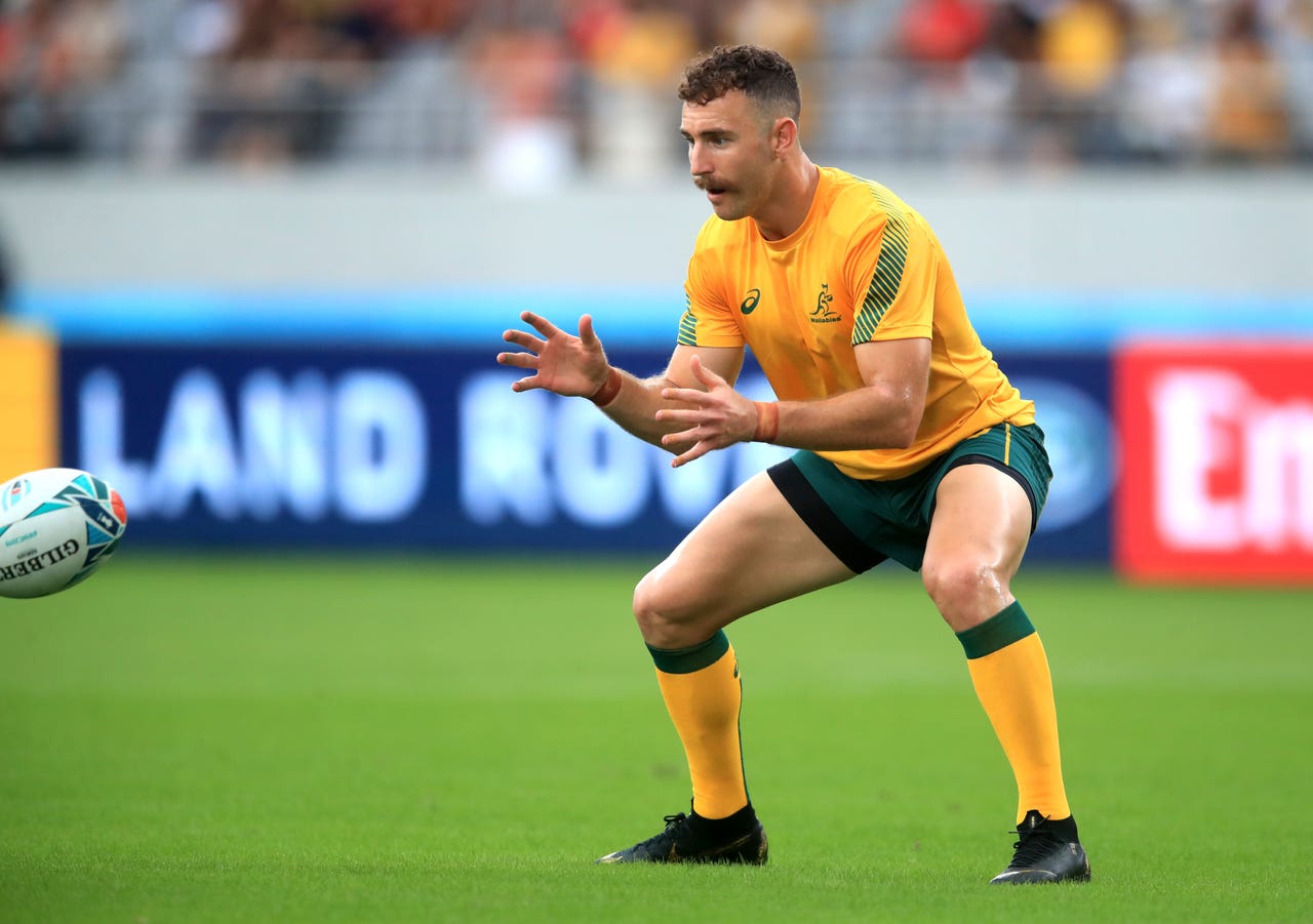 Veteran scrum-halves Danny Care and Nic White can shape Test series ...