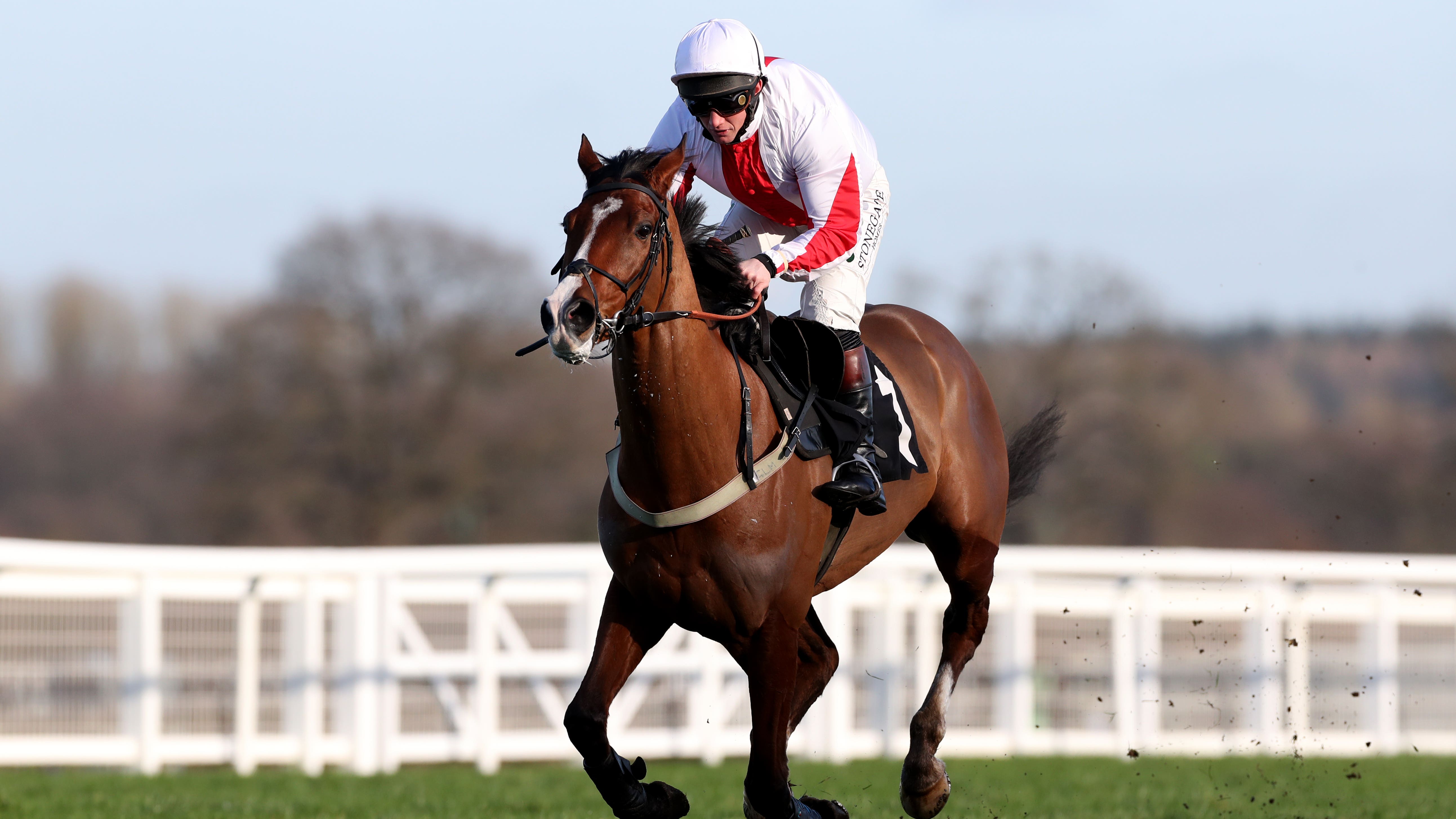 Gary Moore "desperate" to run Goshen in International Hurdle at Cheltenham