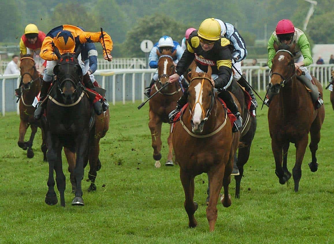 Bond backing Maranoa Charlie to go the distance at Deauville | This Is ...