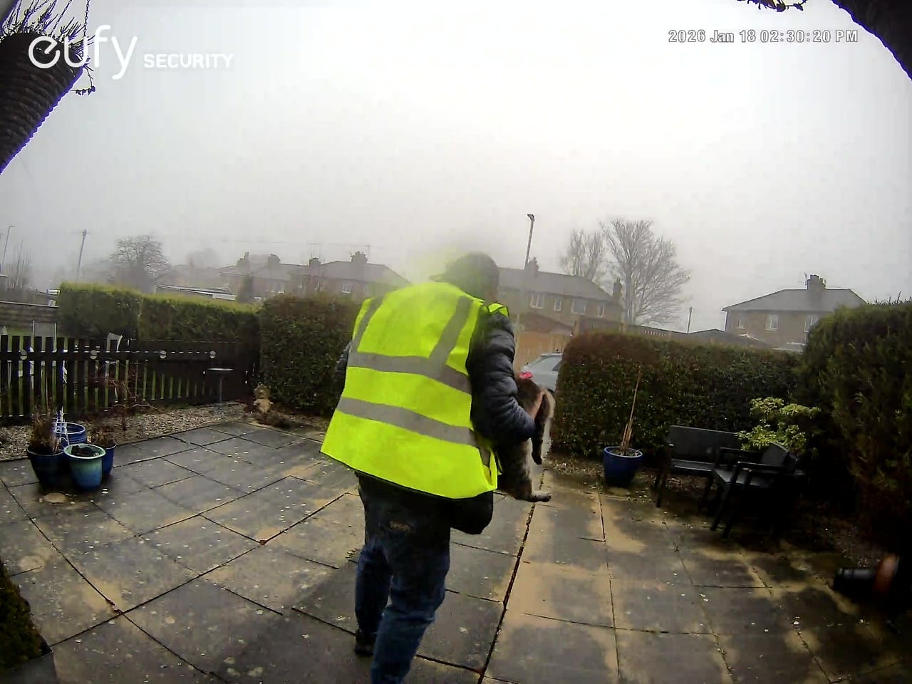 Delivery driver caught on doorbell camera taking pet cat from garden ...