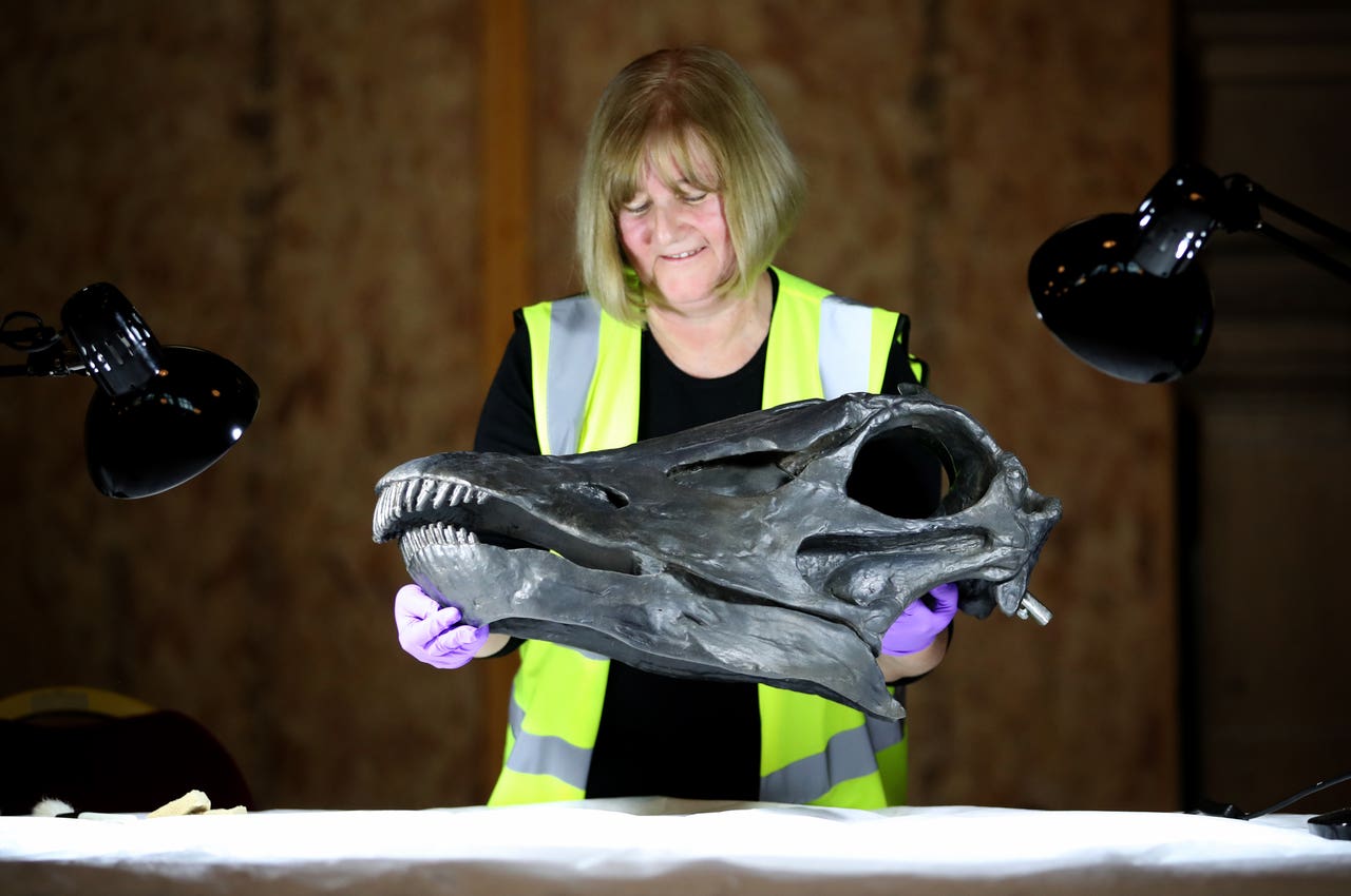 UK's ‘most popular' dinosaur Dippy heading to Coventry - The Irish News