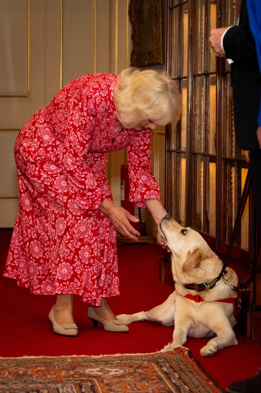 Queen says Clarence House becoming cancer-detecting dogs’ ‘second home ...