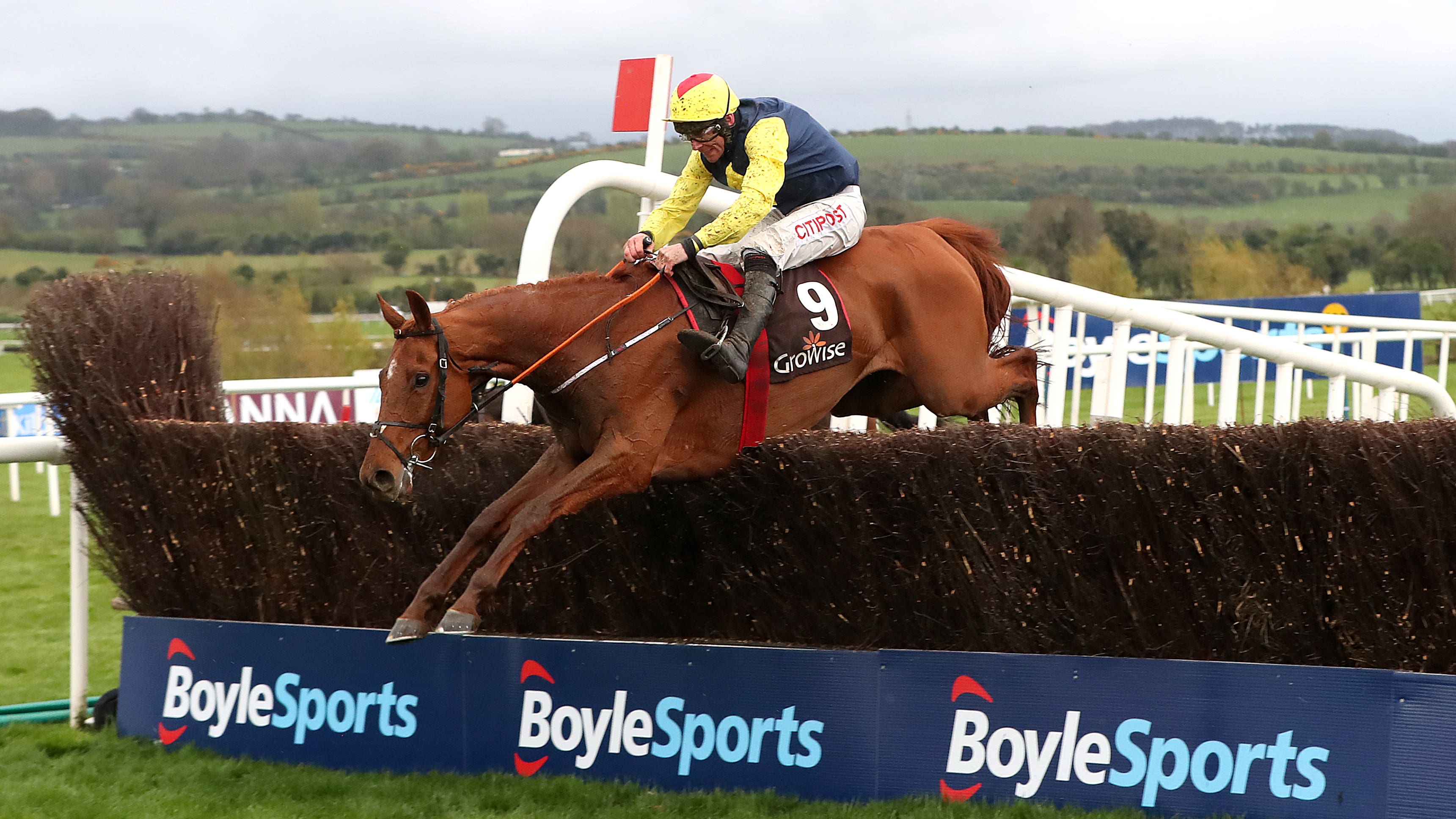 Punchestown preview: Gordon Elliott runs four in search of sixth Star ...
